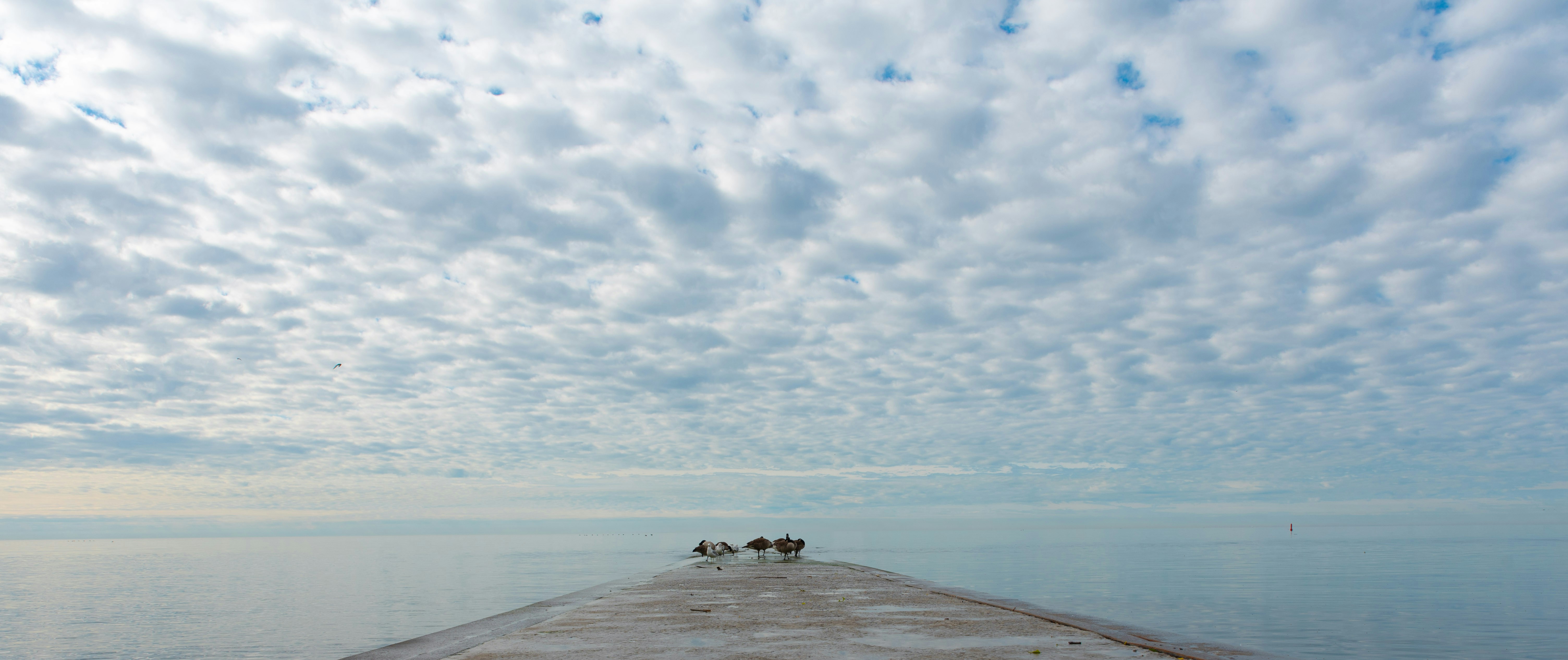 A Tranquil Journey to the Horizon