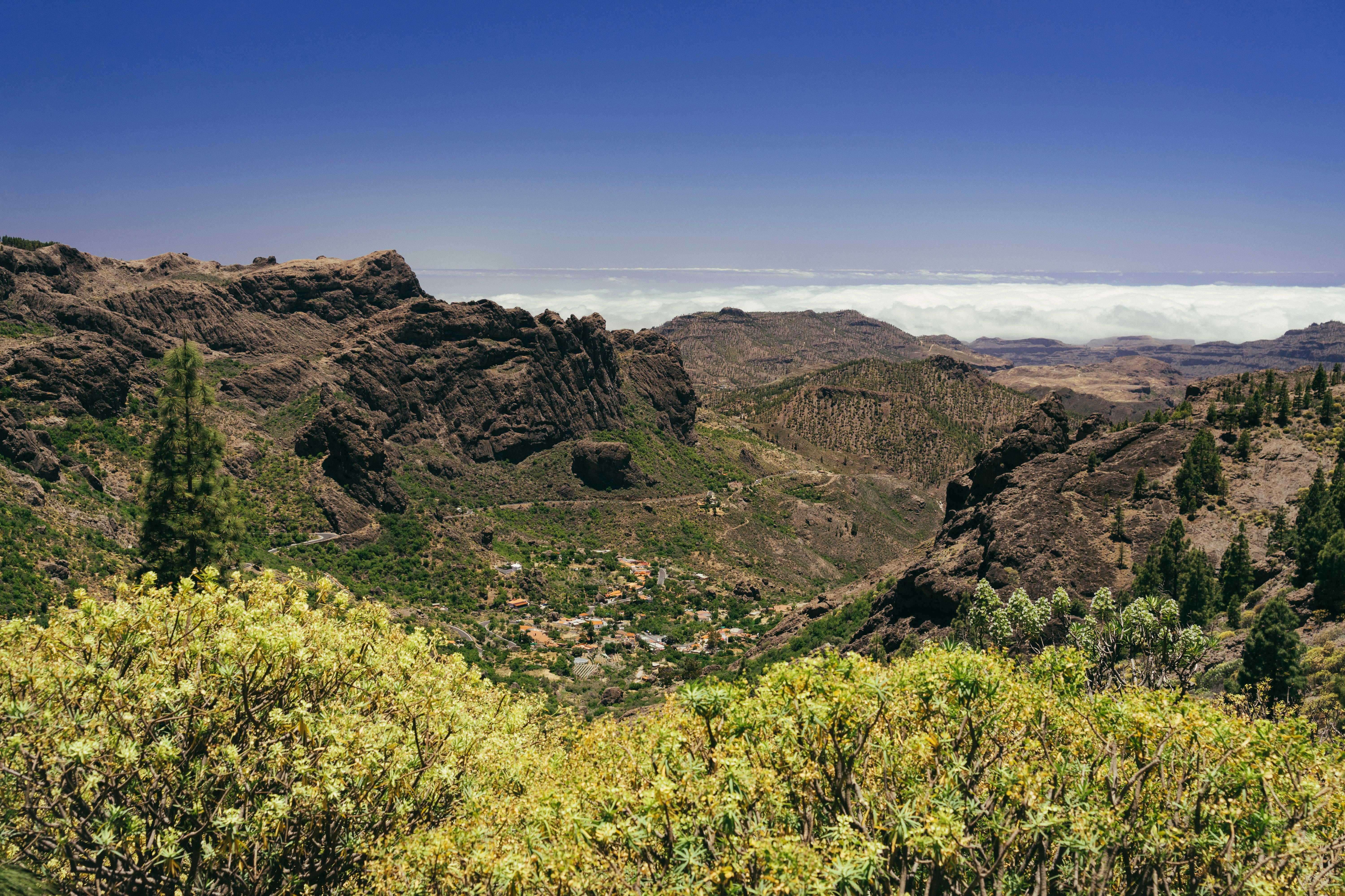 landscape photography of green mountain