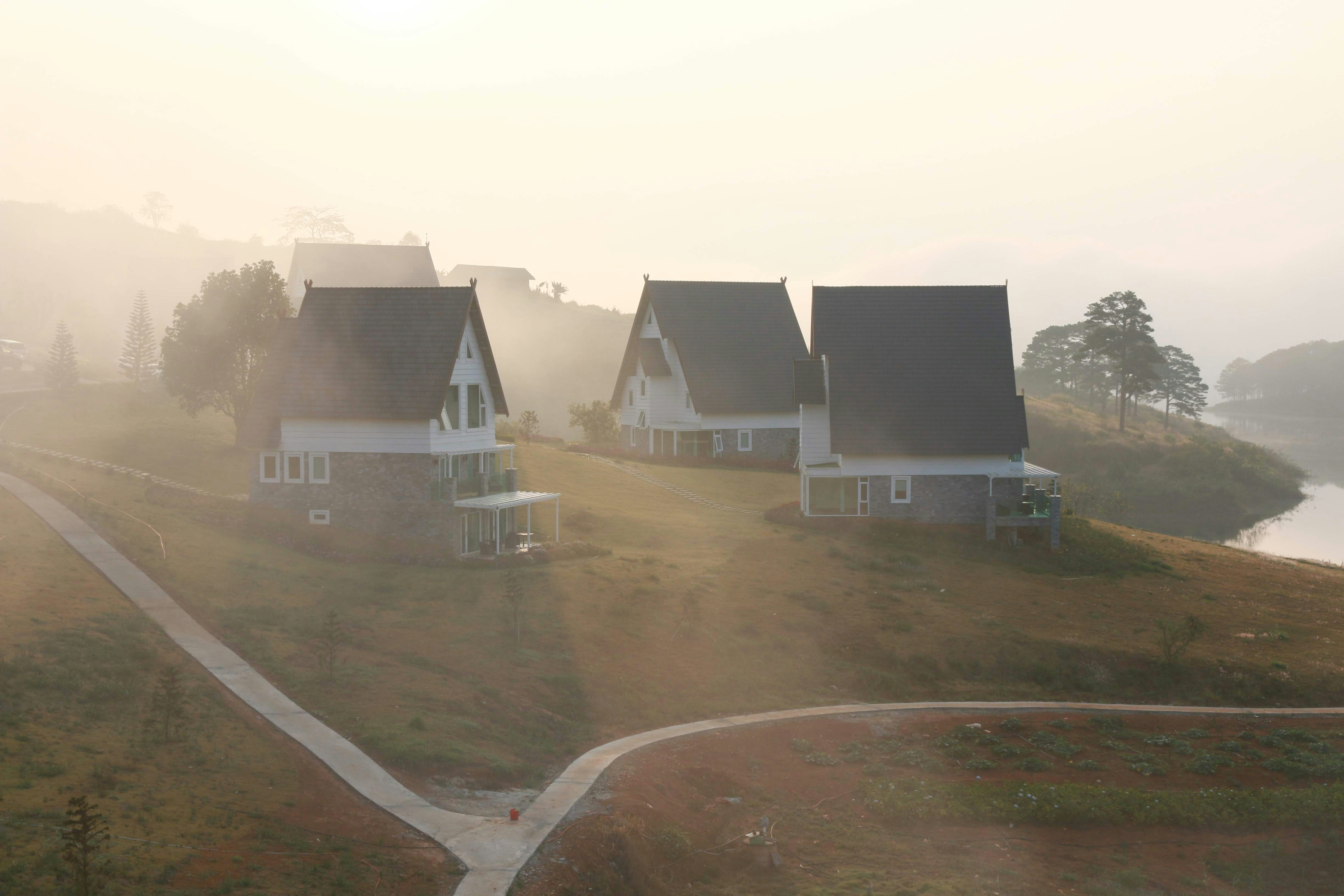 Dawn on the lake | 3 white-and-black houses on grassland