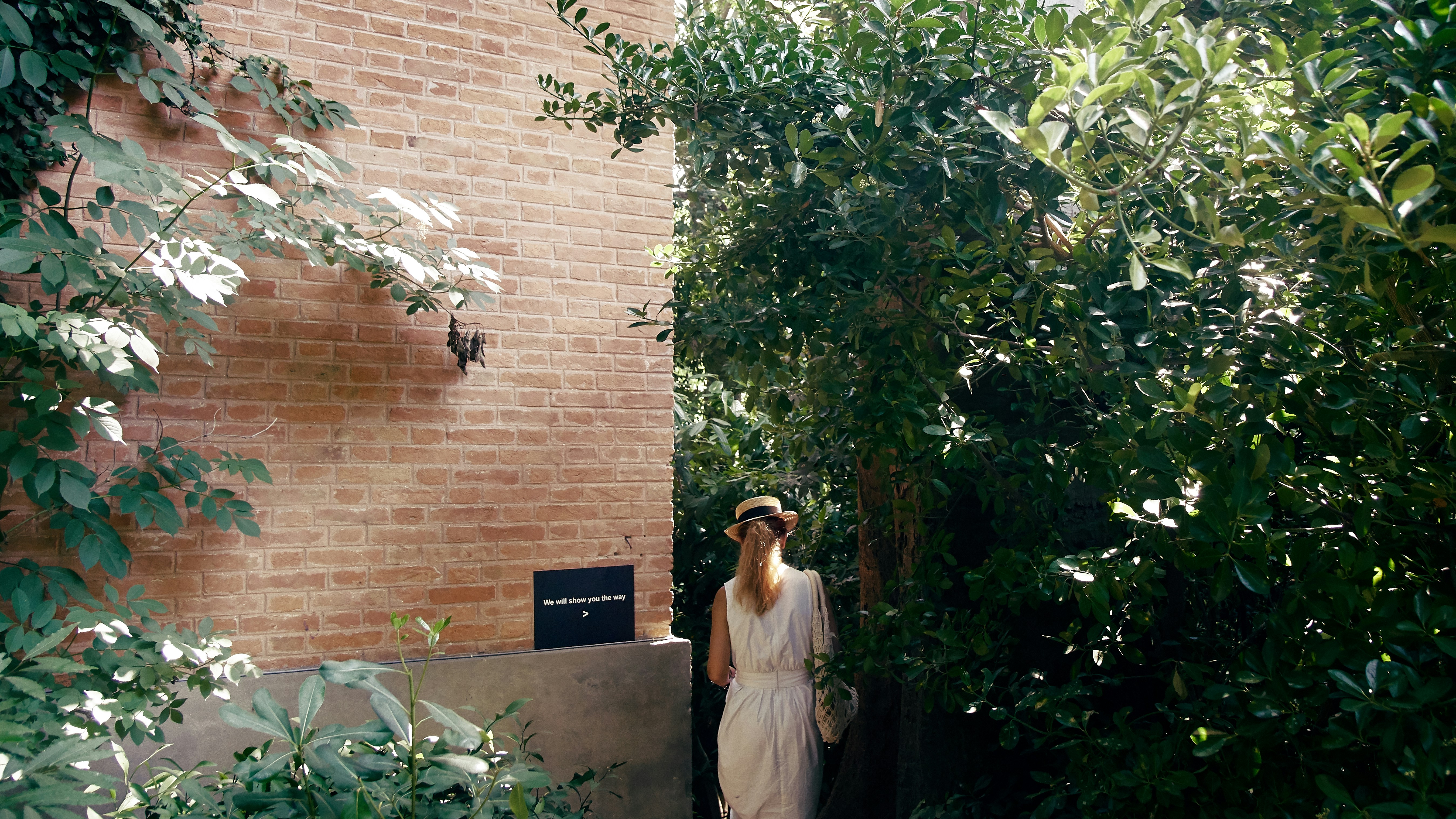 Courtyard Portrait: A Quiet Moment Between Brick and Verdant Canopy