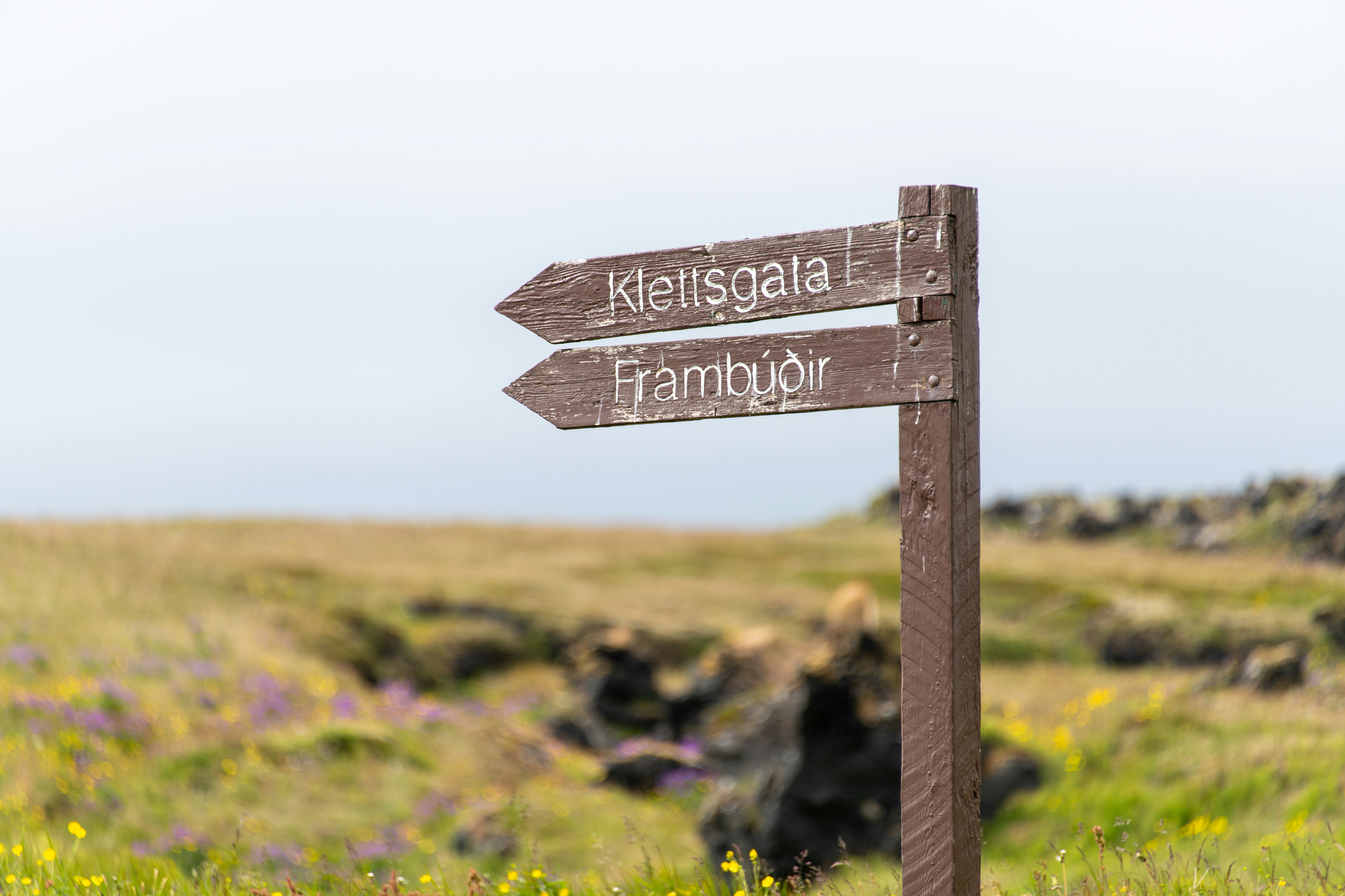 Letrero de madera marrón foto – Imagen de Islandia gratuita en Unsplash