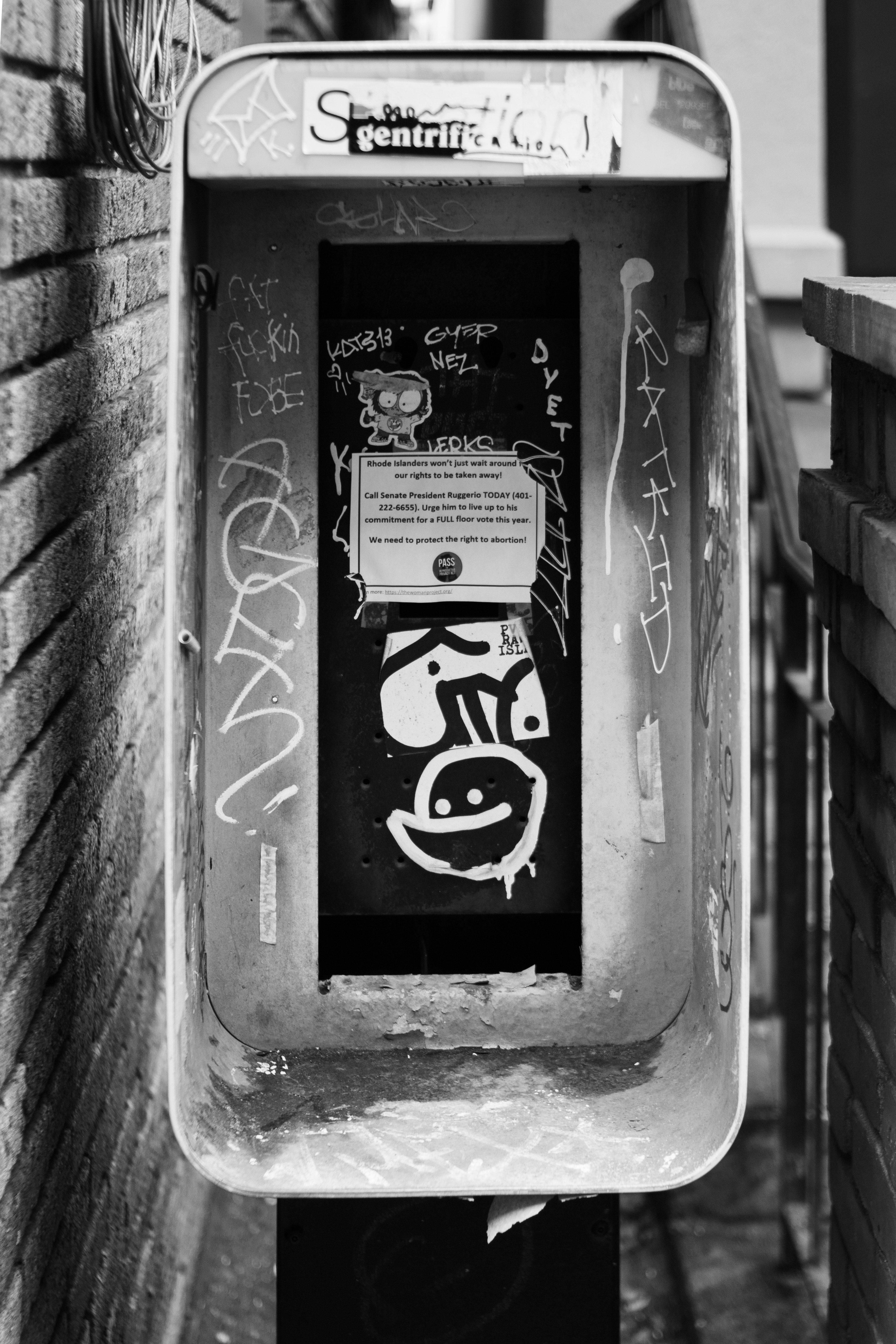 Monochrome Graffiti Box: A Narrow Alley Urban Canvas