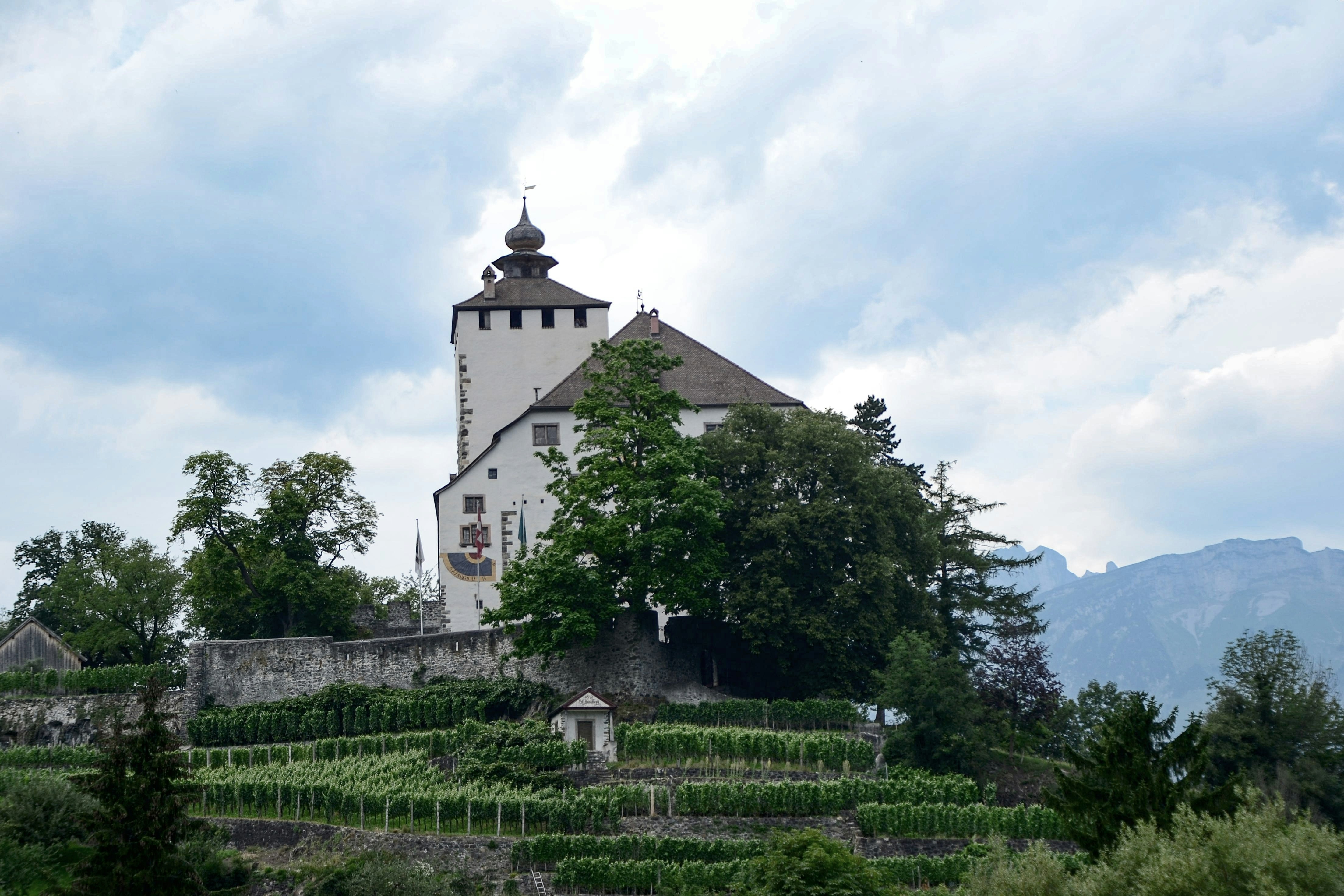 Historic castle perched on a hillside, surrounded by lush vineyards and towering trees, against a backdrop of dramatic clouds.
