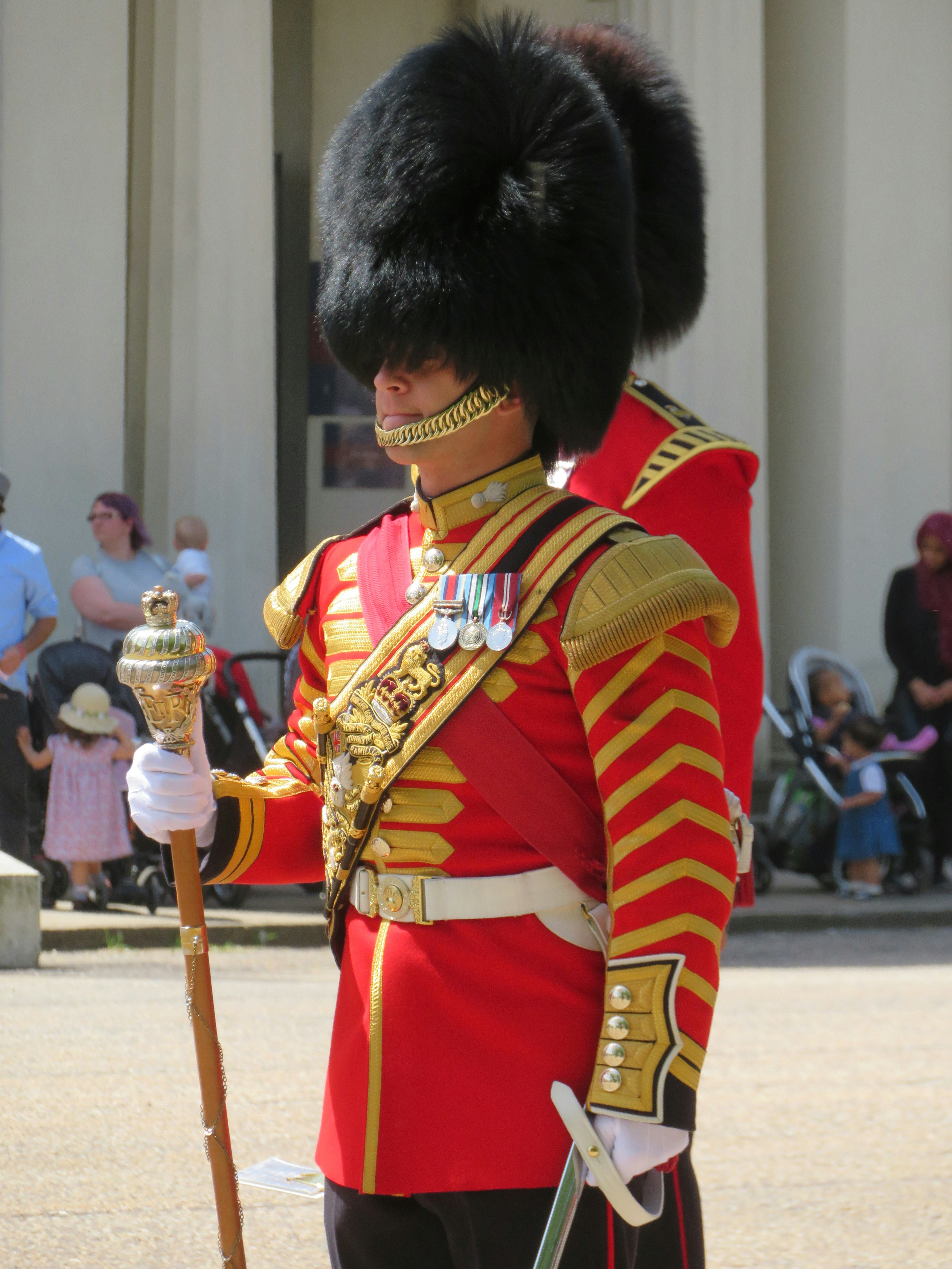 Ceremonial Guard in Scarlet: A Formal Portrait of Precision and Tradition
