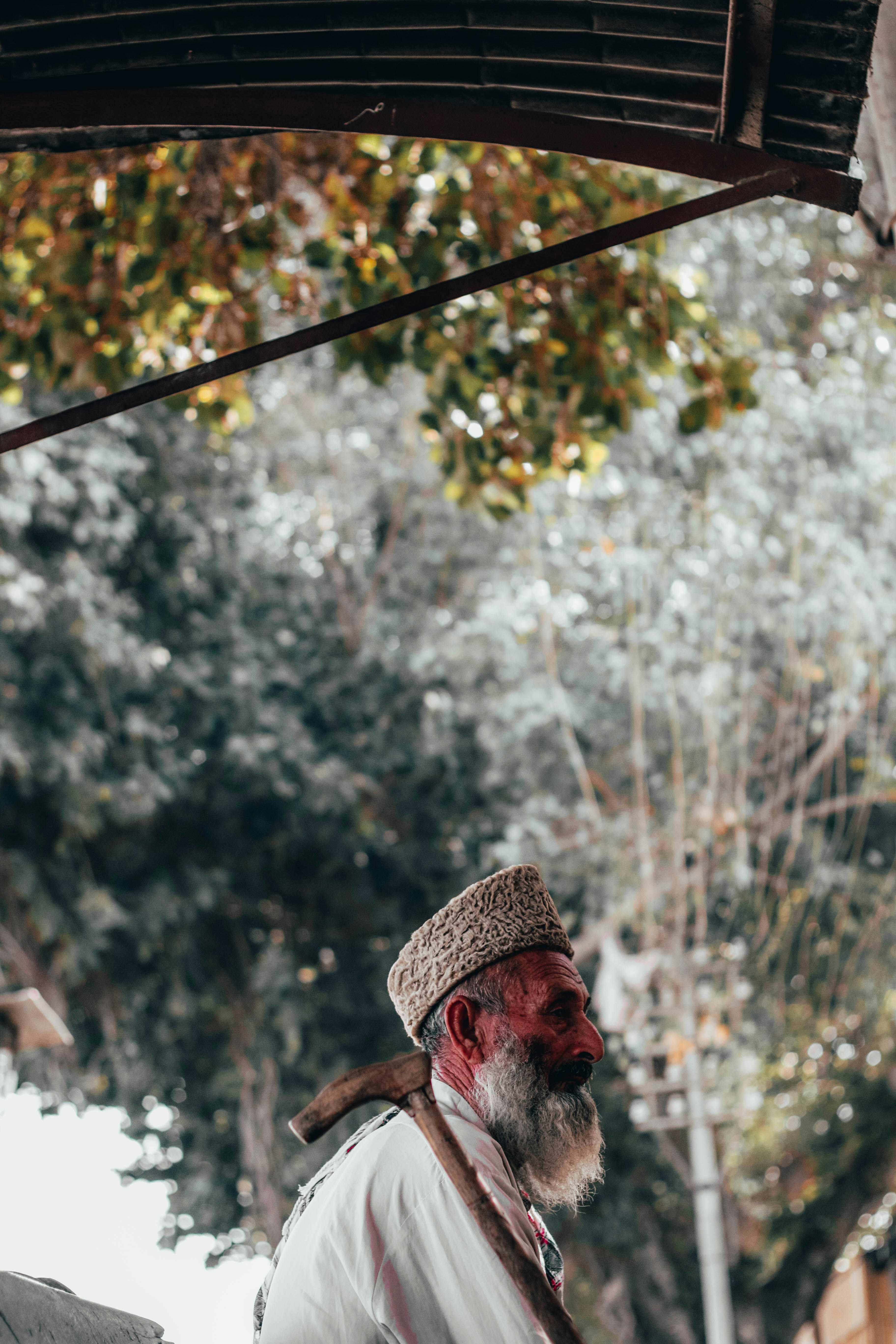 Under the Rusted Canopy: Portrait of a Weathered Elder in Autumn Light