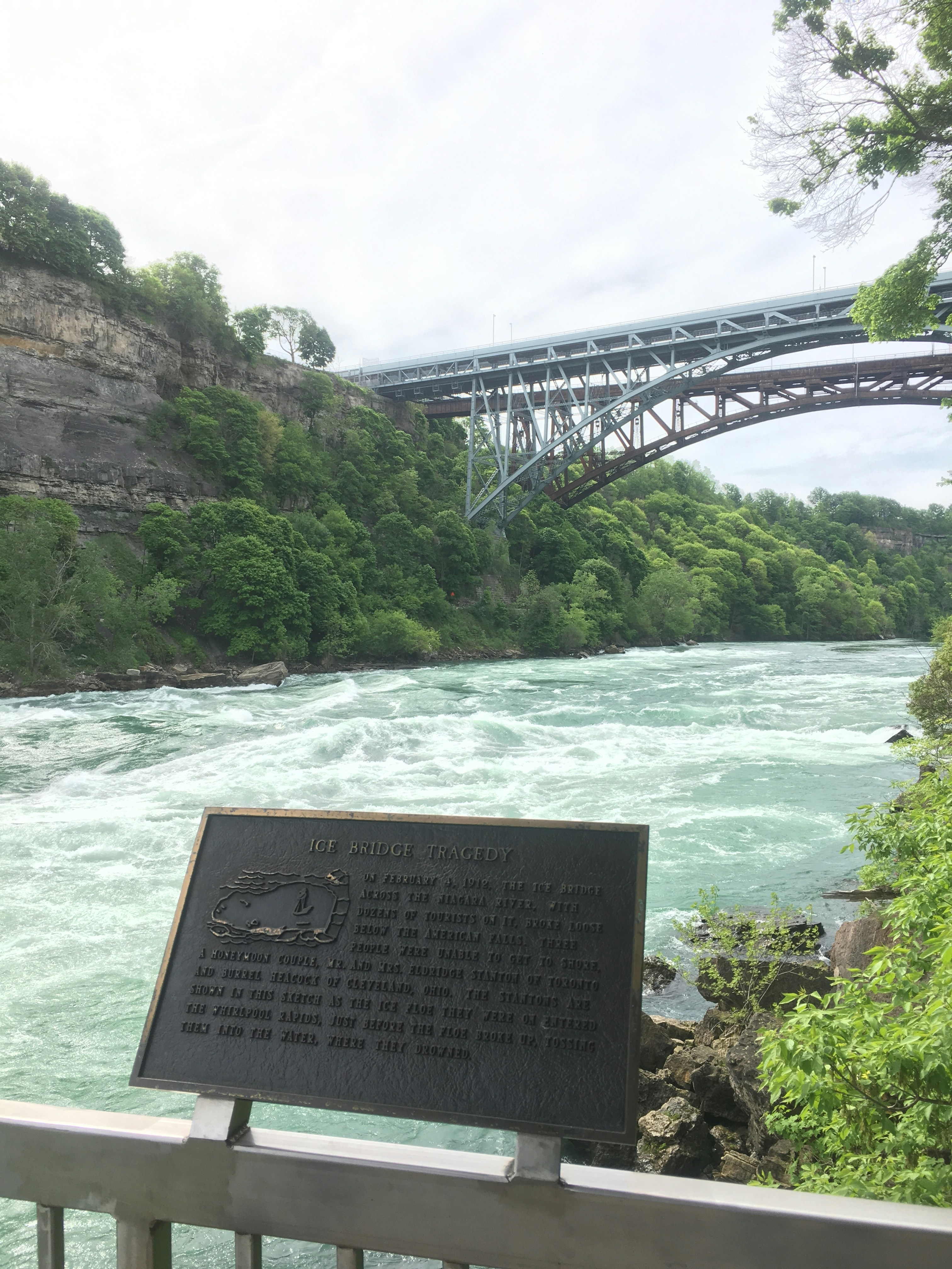 Overlook Plaque Beneath a Steel Arch Over Whitewater and Verdant Gorge