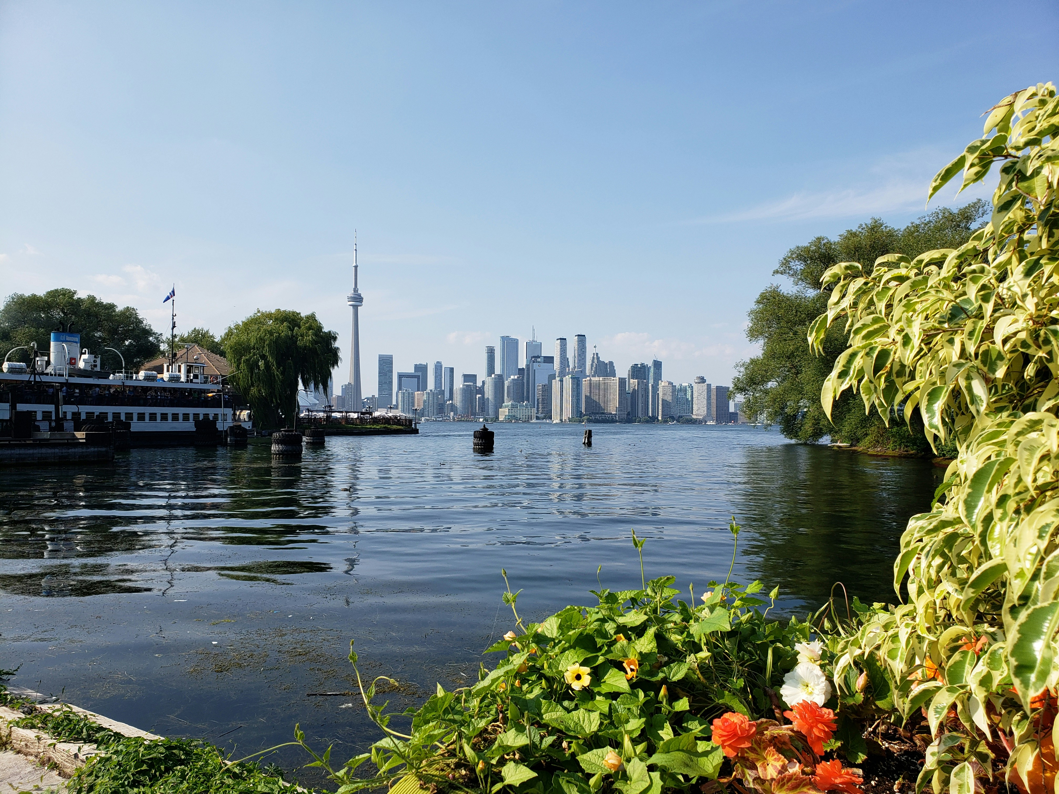 Lush flowers in the foreground frame a tranquil waterfront view, showcasing a bustling city skyline and the iconic CN Tower in the distance.