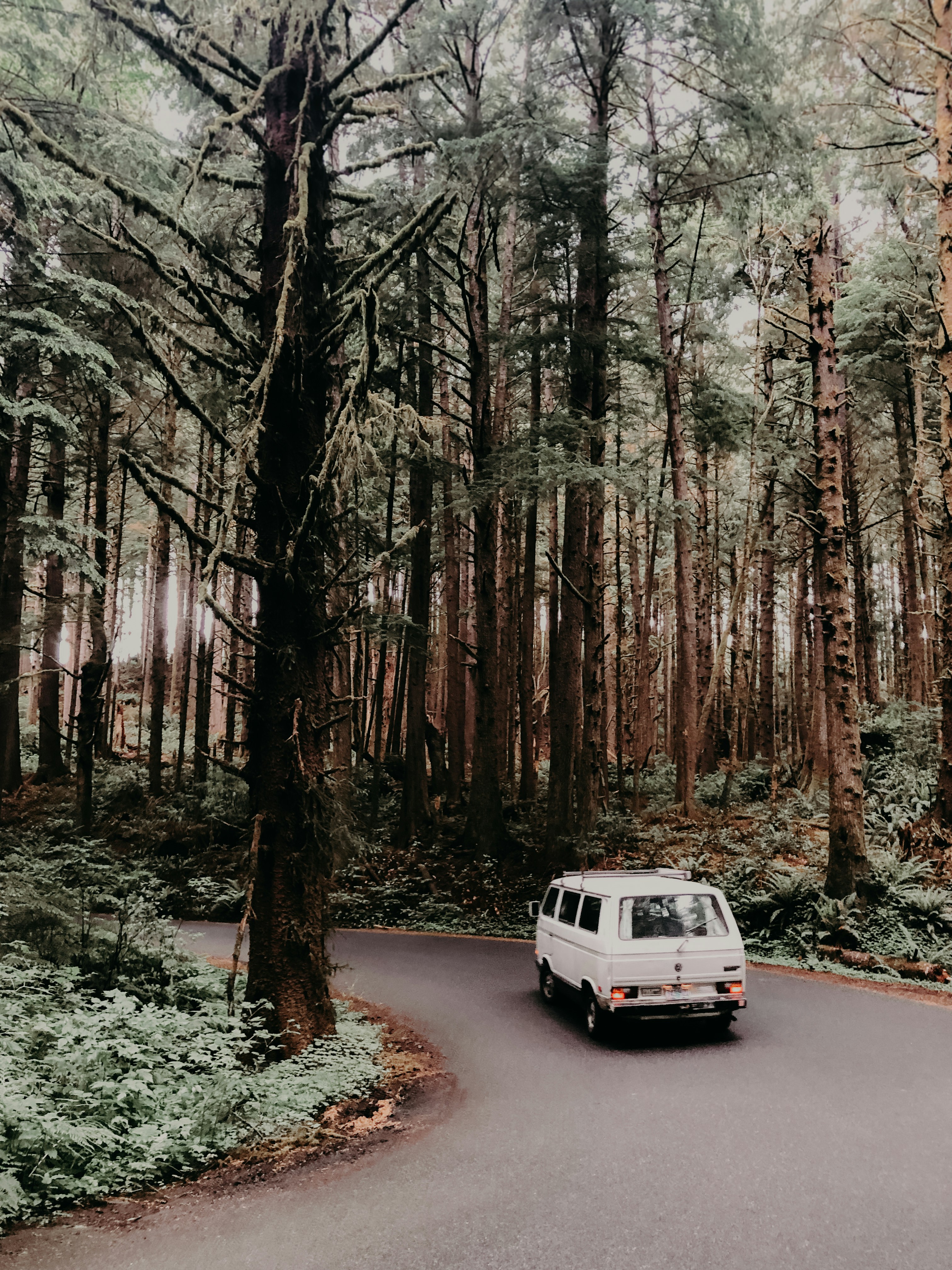 White Van Navigates a Serpentine Forest Road
