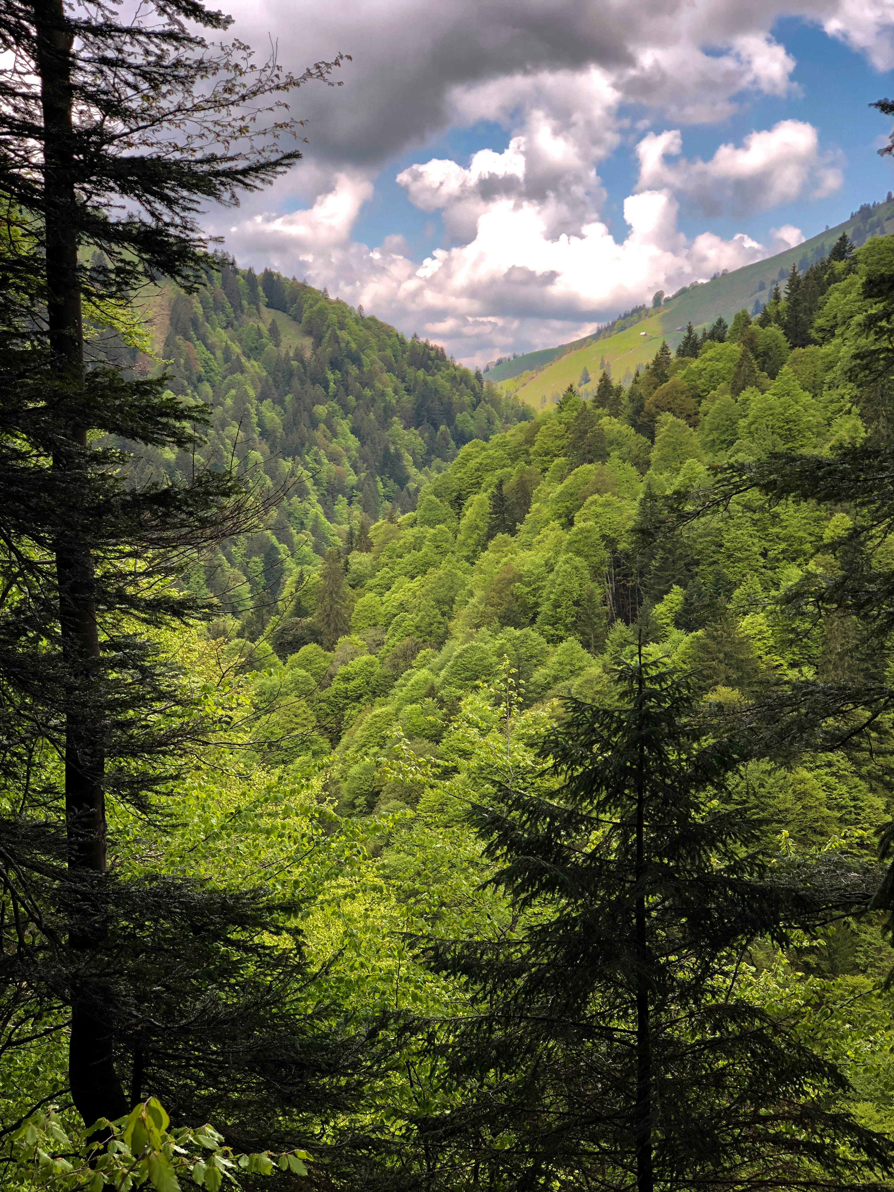 Vibrant green hillsides cradle a serene valley, punctuated by scattered clouds above. The dense foliage creates a rich tapestry of nature.