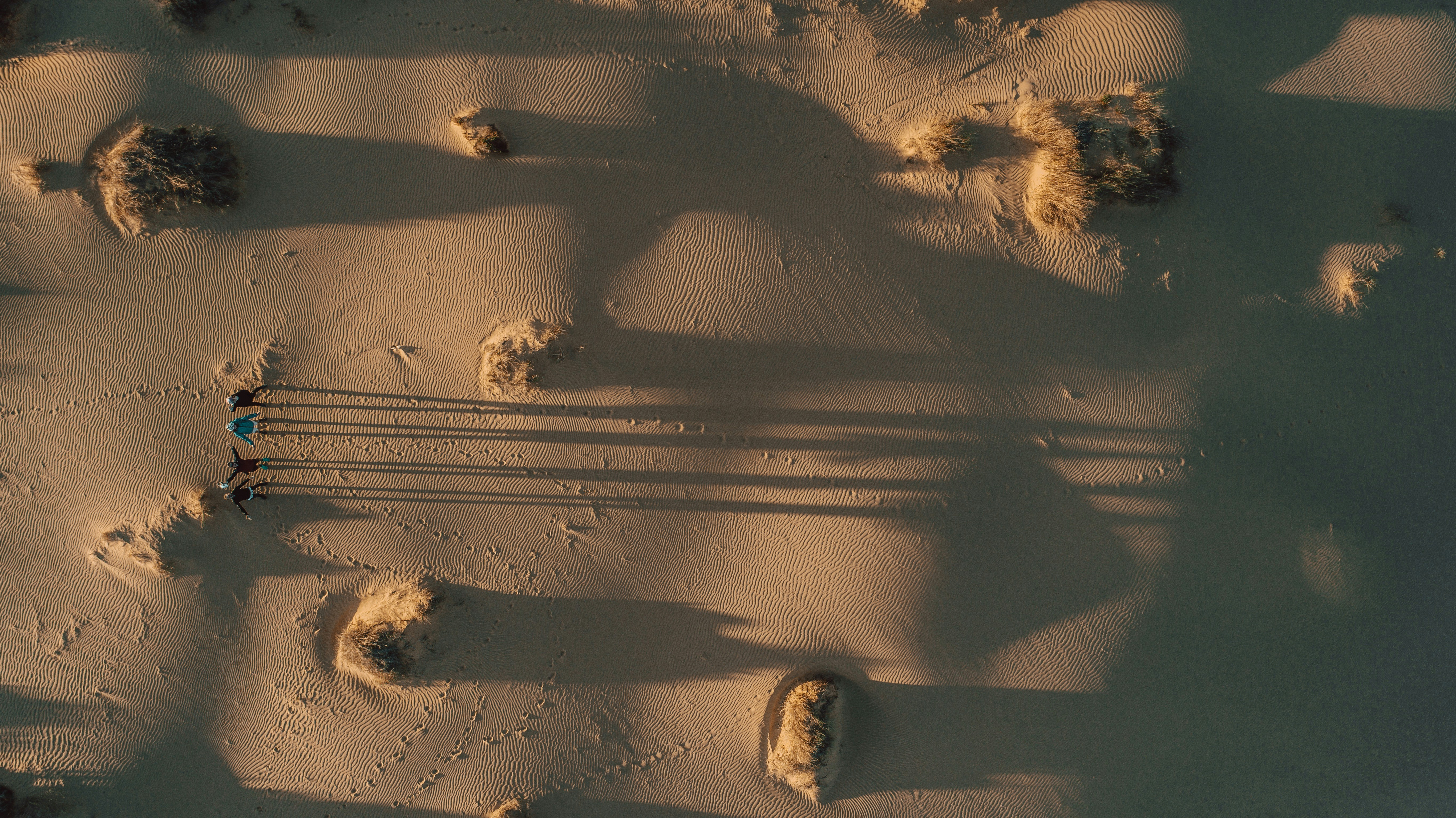 Sun casting long shadows over group of people.