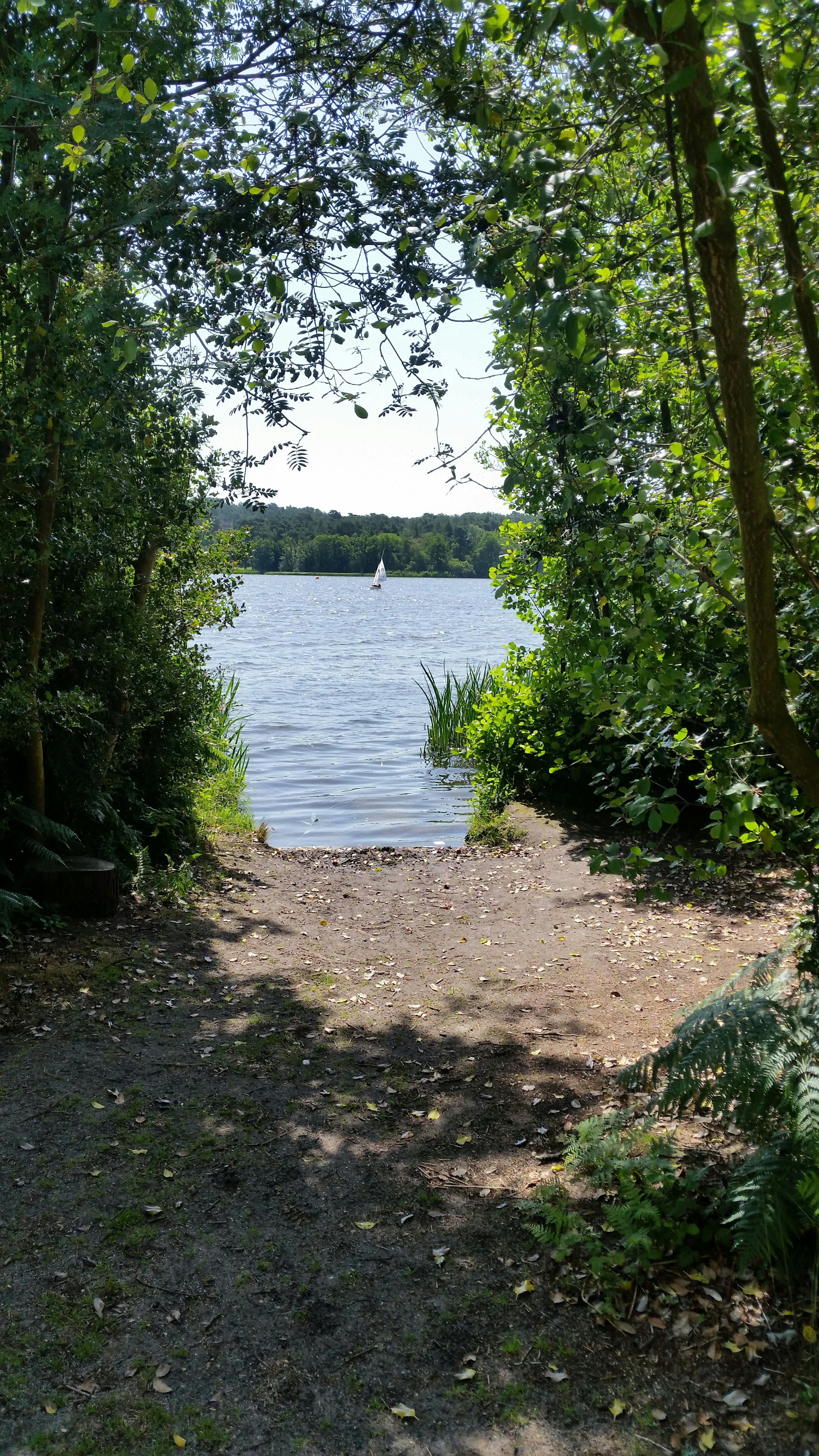 Path to the lake framed by green archway