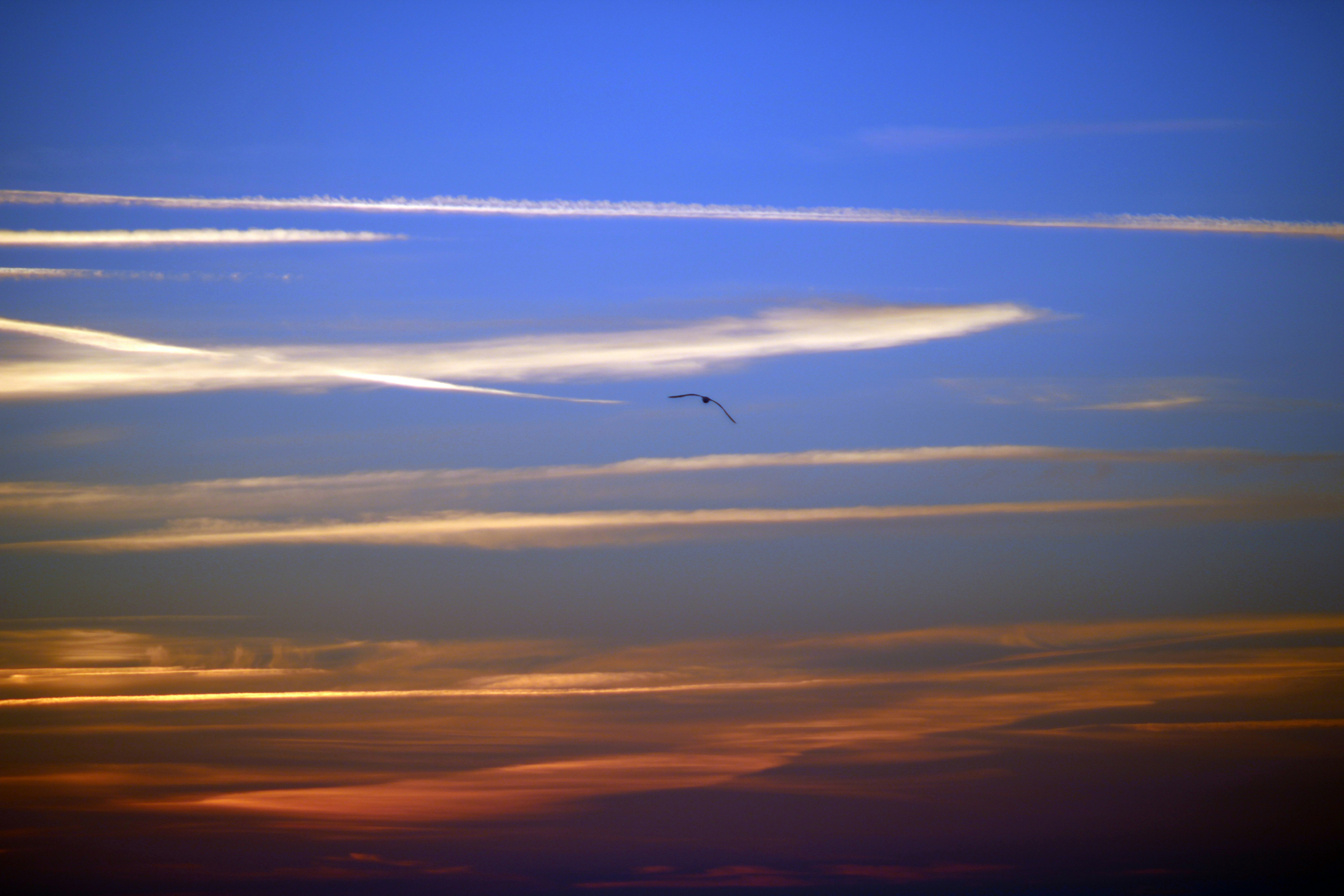 White clodus photo – Free Sky Image on Unsplash