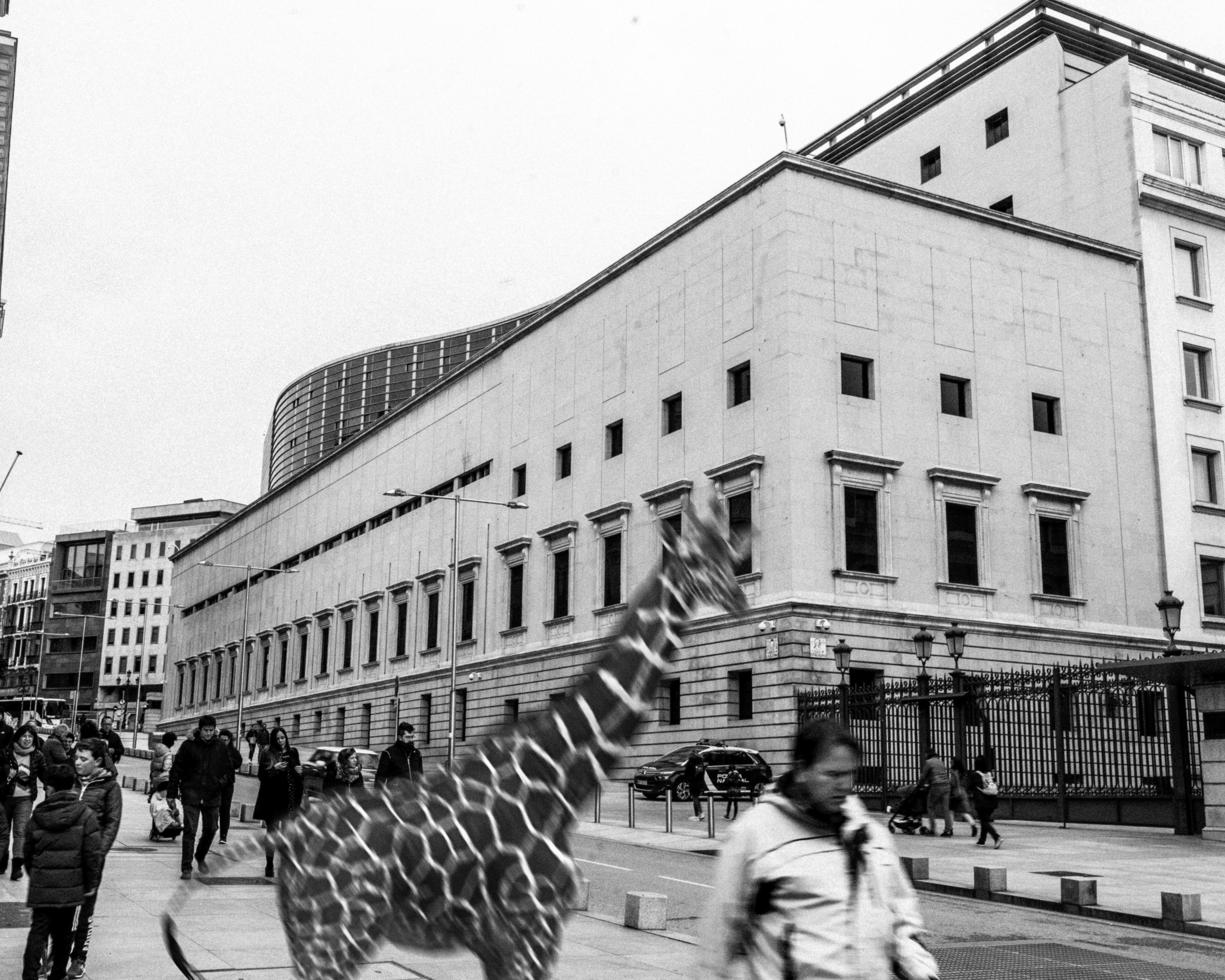 Giraffe in the City: Blur and Structure Meet in Black and White