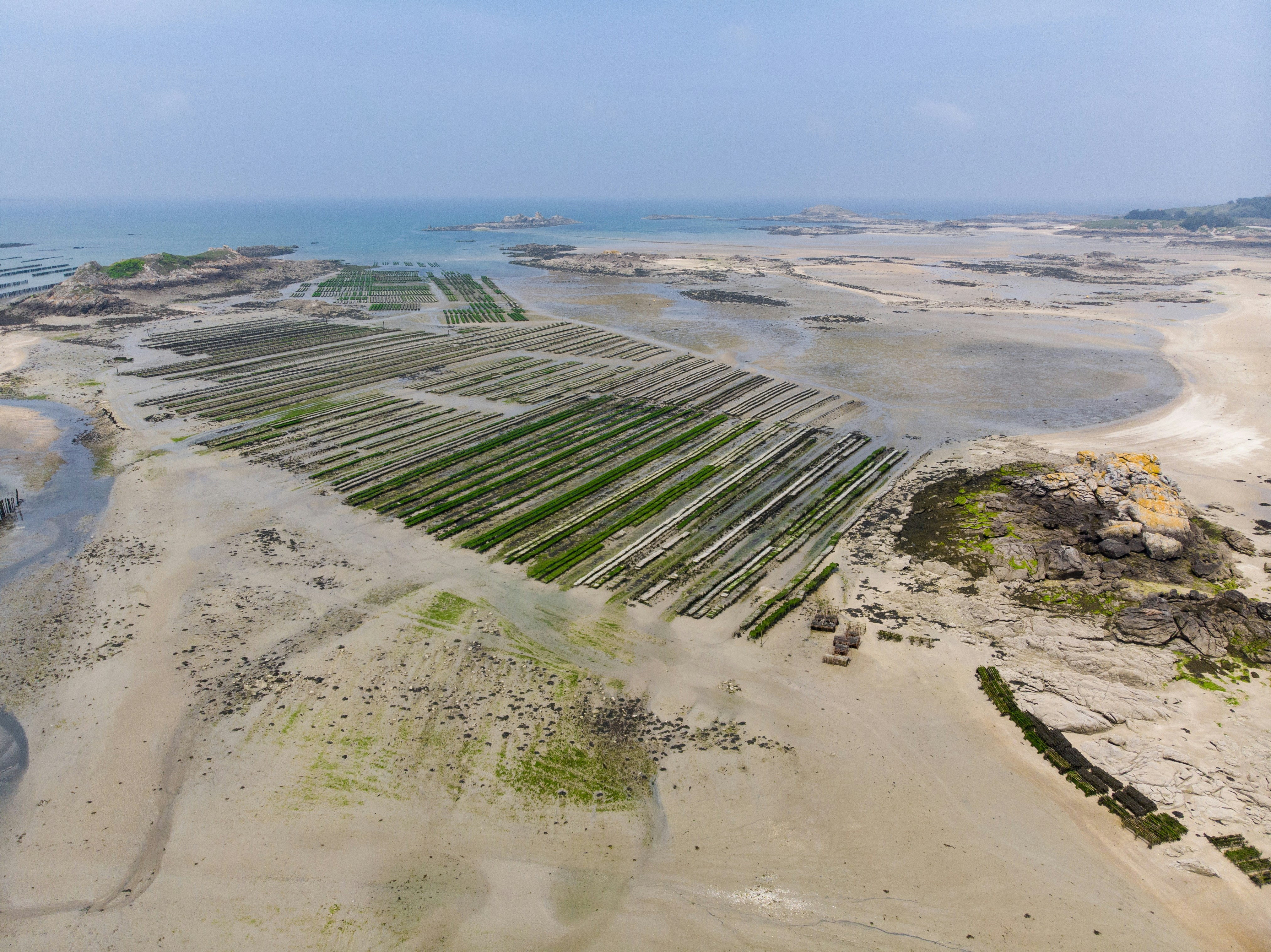 Aerial view of patterned aquaculture fields along a sandy coastline, revealing the intricate layout of seaweed cultivation. The serene landscape showcases the harmony between land and sea.