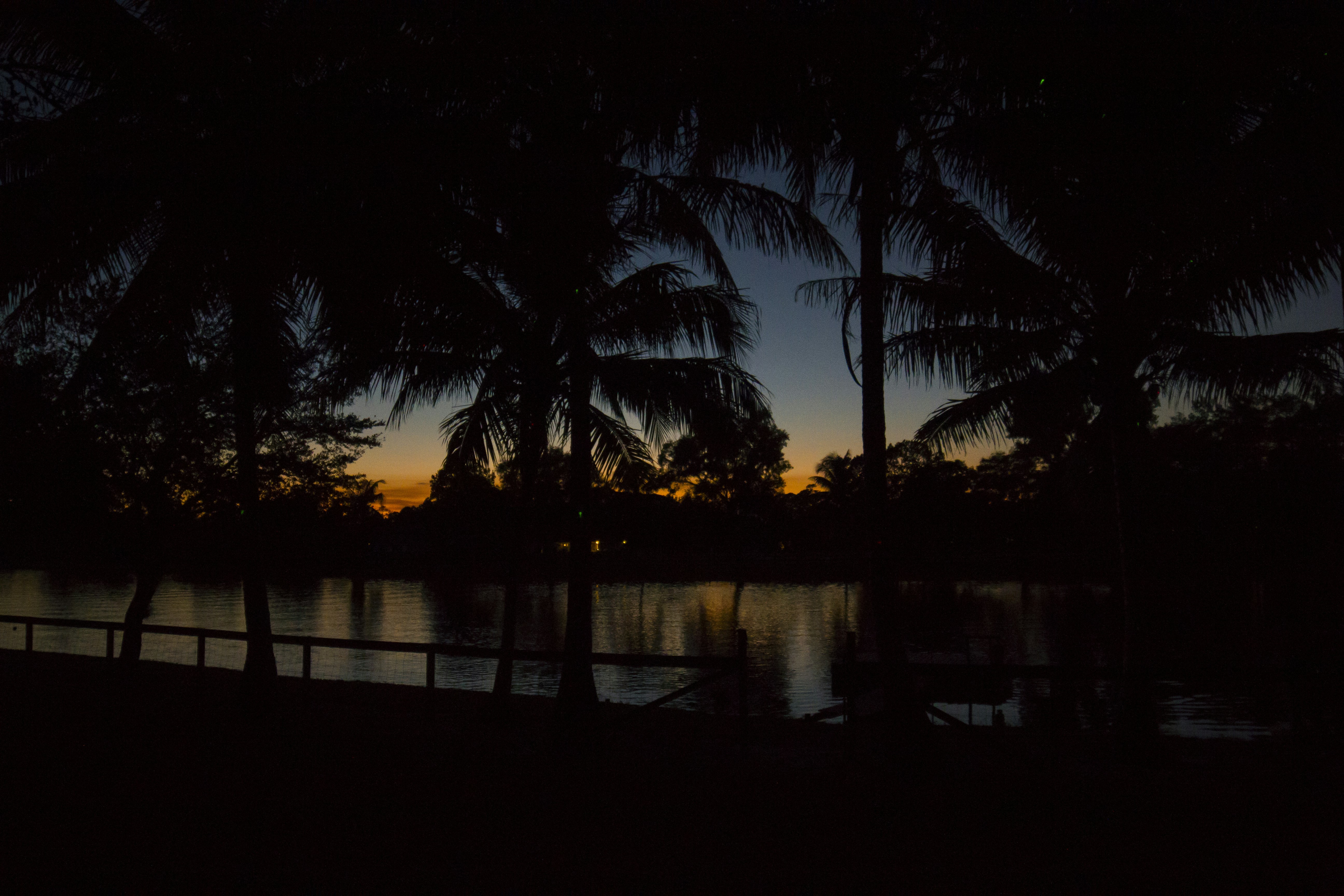 Silhouetted palm trees frame a tranquil lake at twilight, with soft hues of orange and blue reflecting on the water's surface.