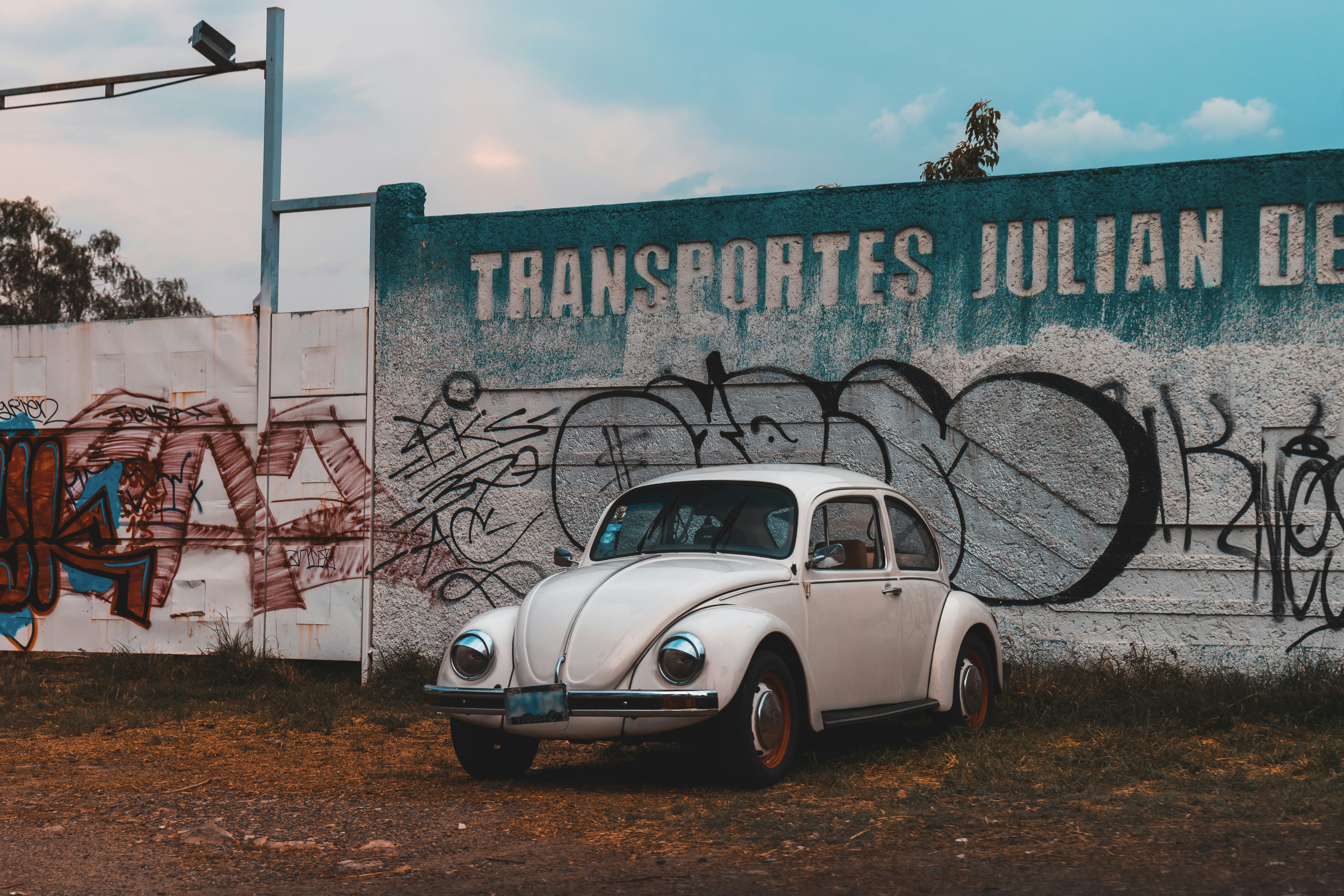 White Beetle in a Graffitied City Alley