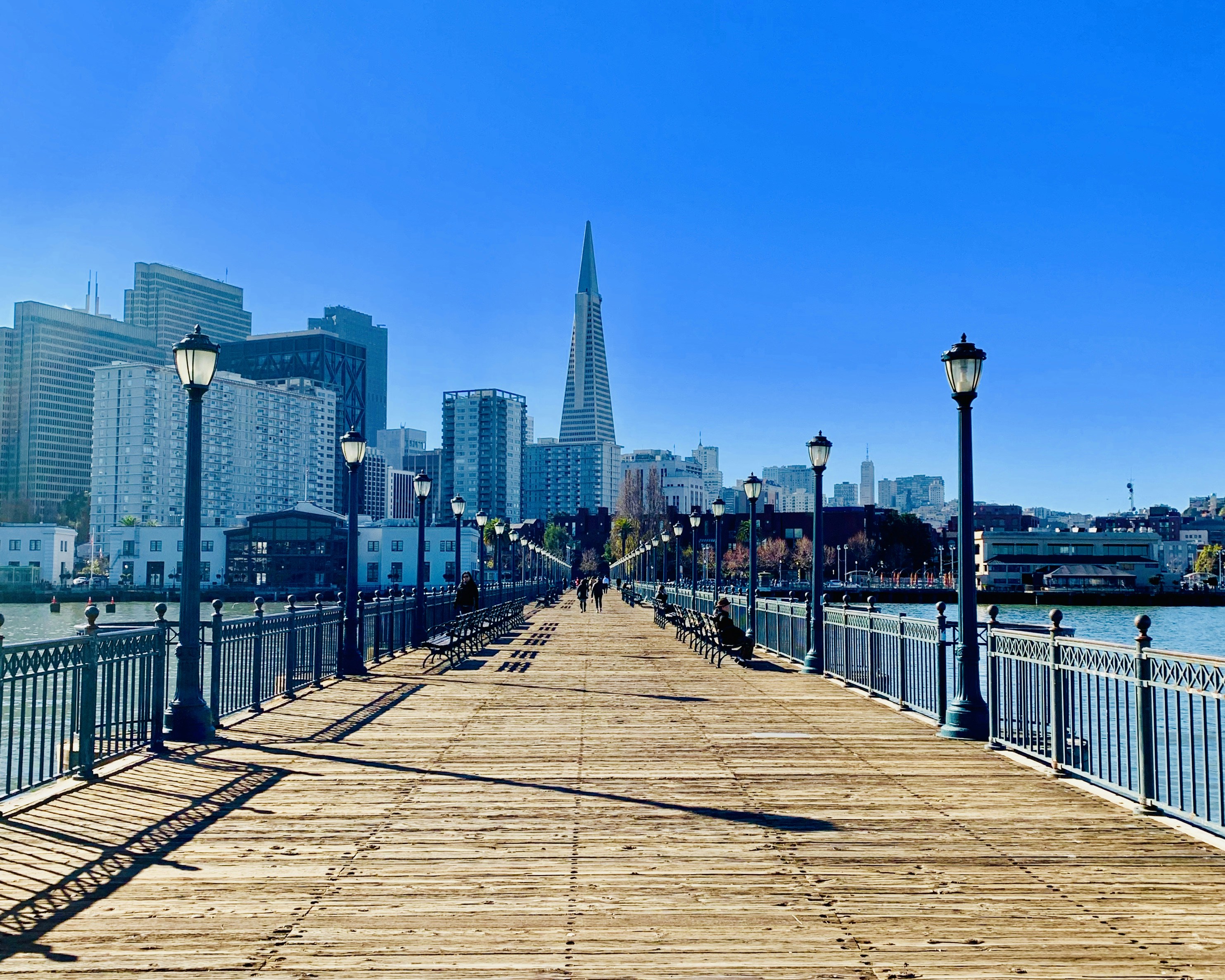 Grey concrete bridge photo – Free Transamerica pyramid Image on Unsplash