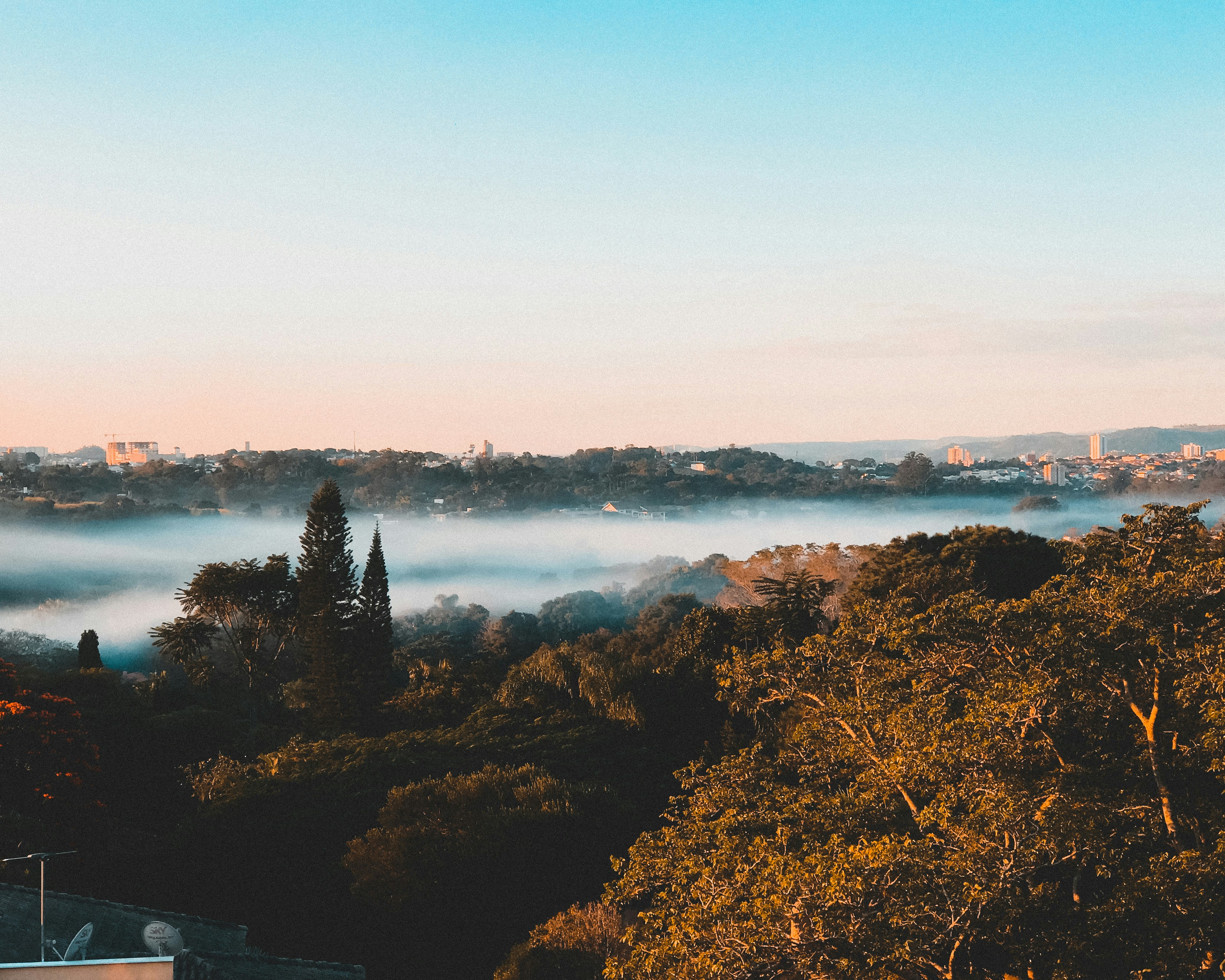Hazy mist drifts over lush, tree-covered hills under a clear blue sky at dawn.