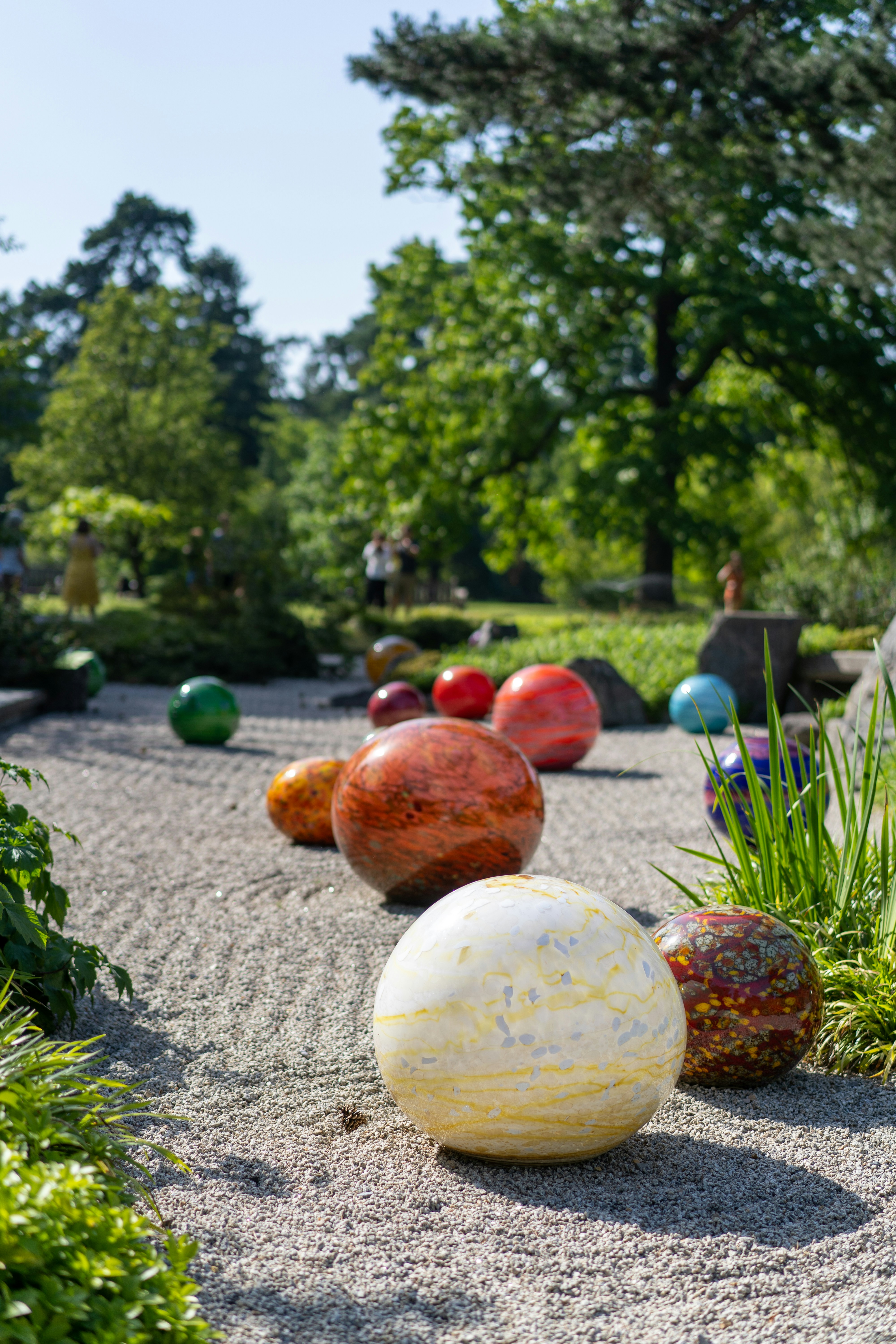 Assorted-color balls on grey ground near trees photo – Free Garden ...
