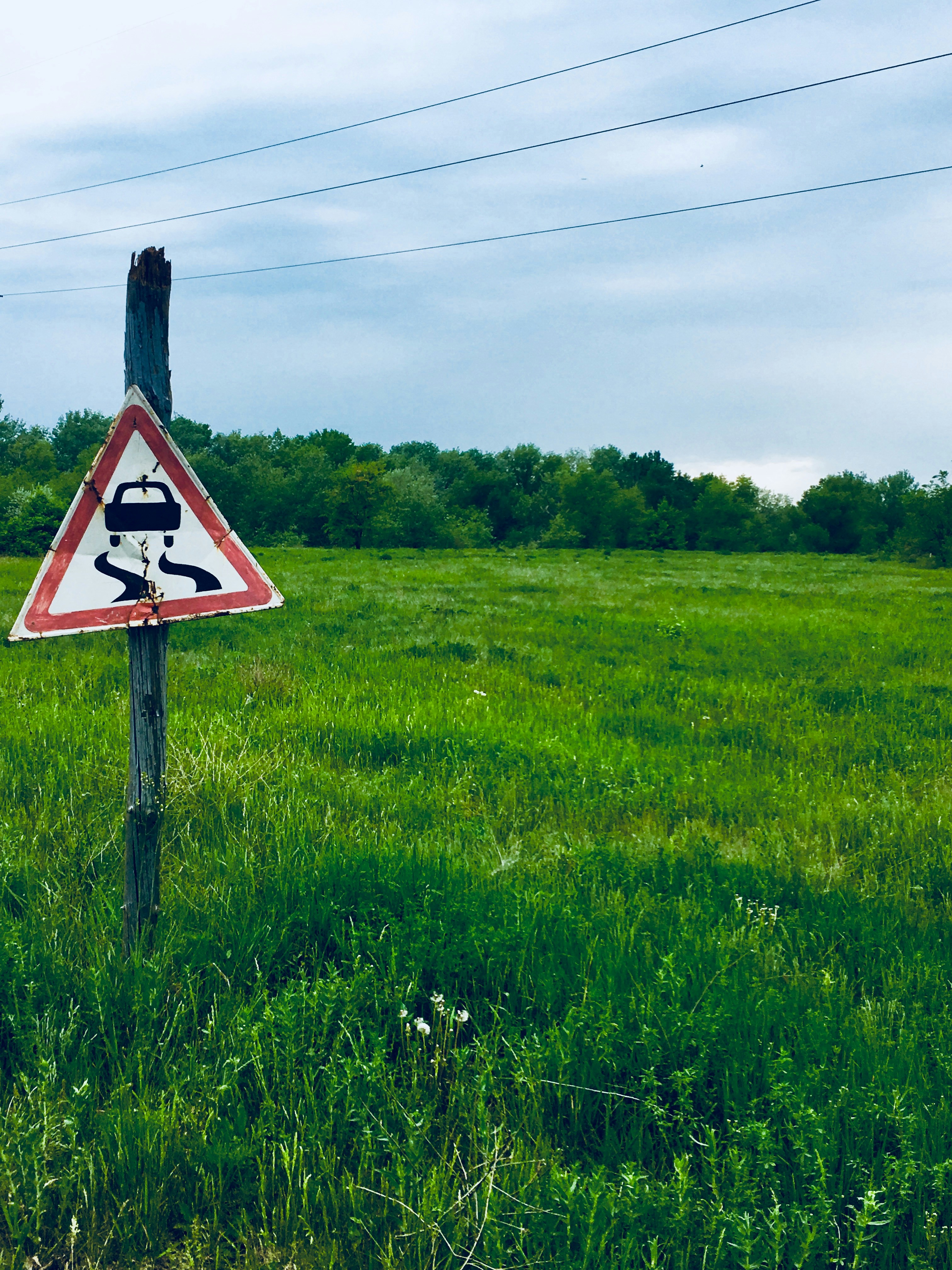 Curvy road warning sign stands tall amidst a lush green field under an overcast sky.