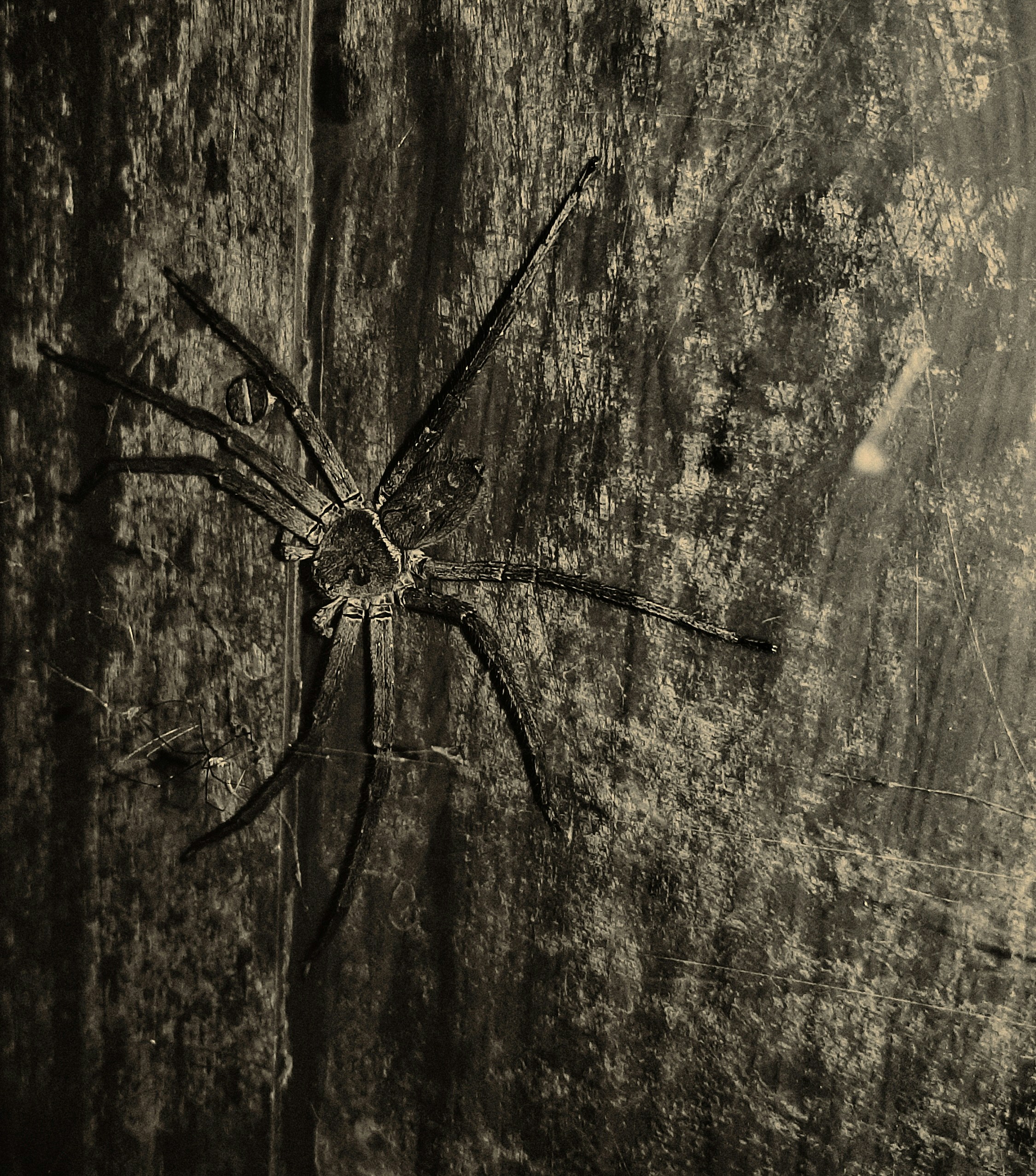 Harysh Kris (@harysh) | Unsplash Photo Community