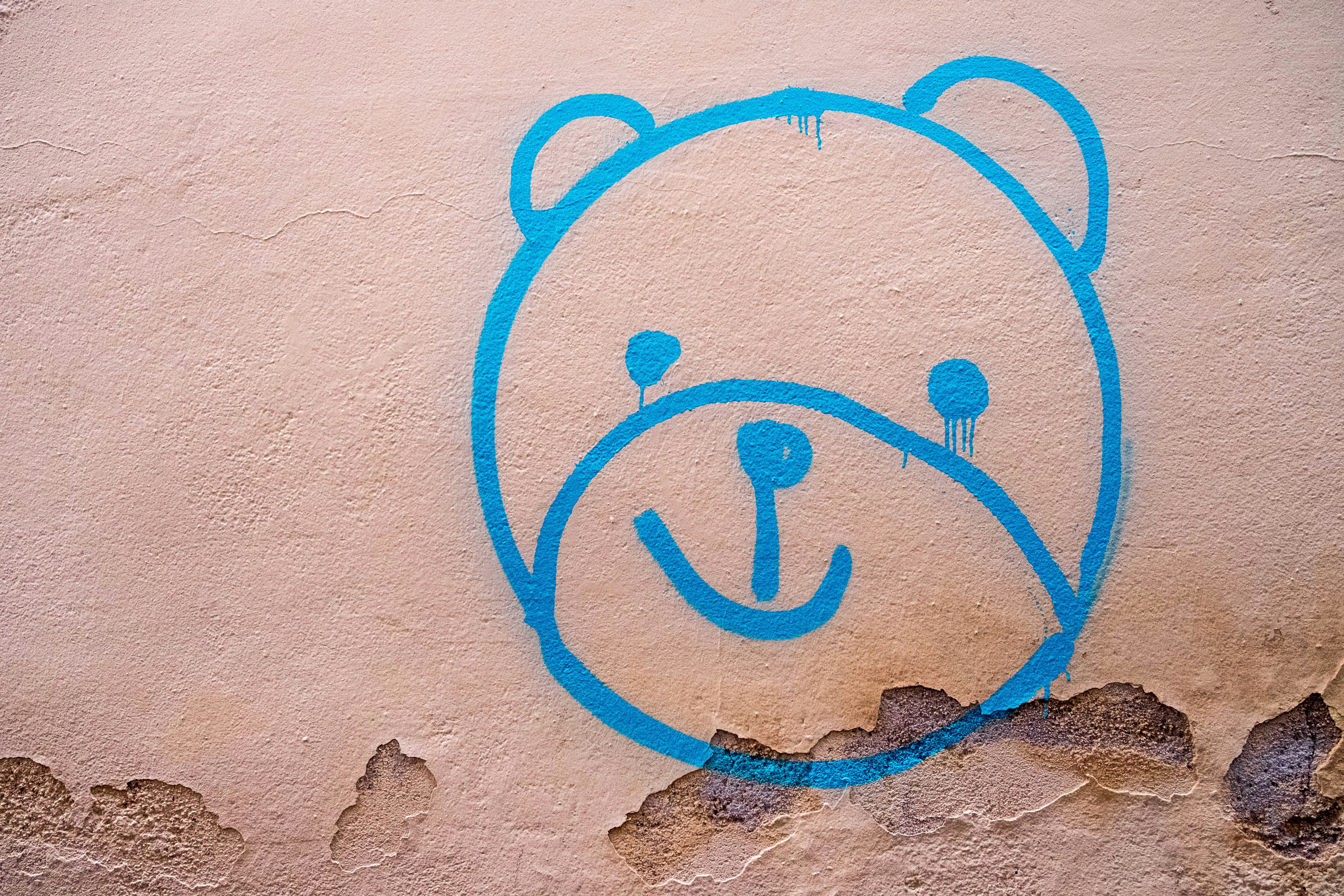 Blue Bear Graffiti on Weathered Pink Wall
