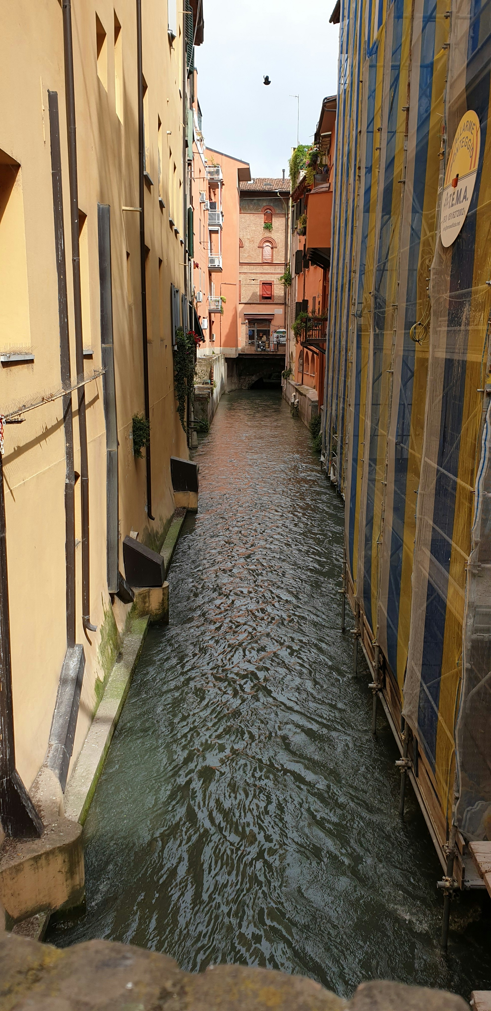 Narrow canal flanked by colorful buildings in Venice, with a glimpse of a bridge and a distant shop. A bird flies overhead, adding life to the serene scene.