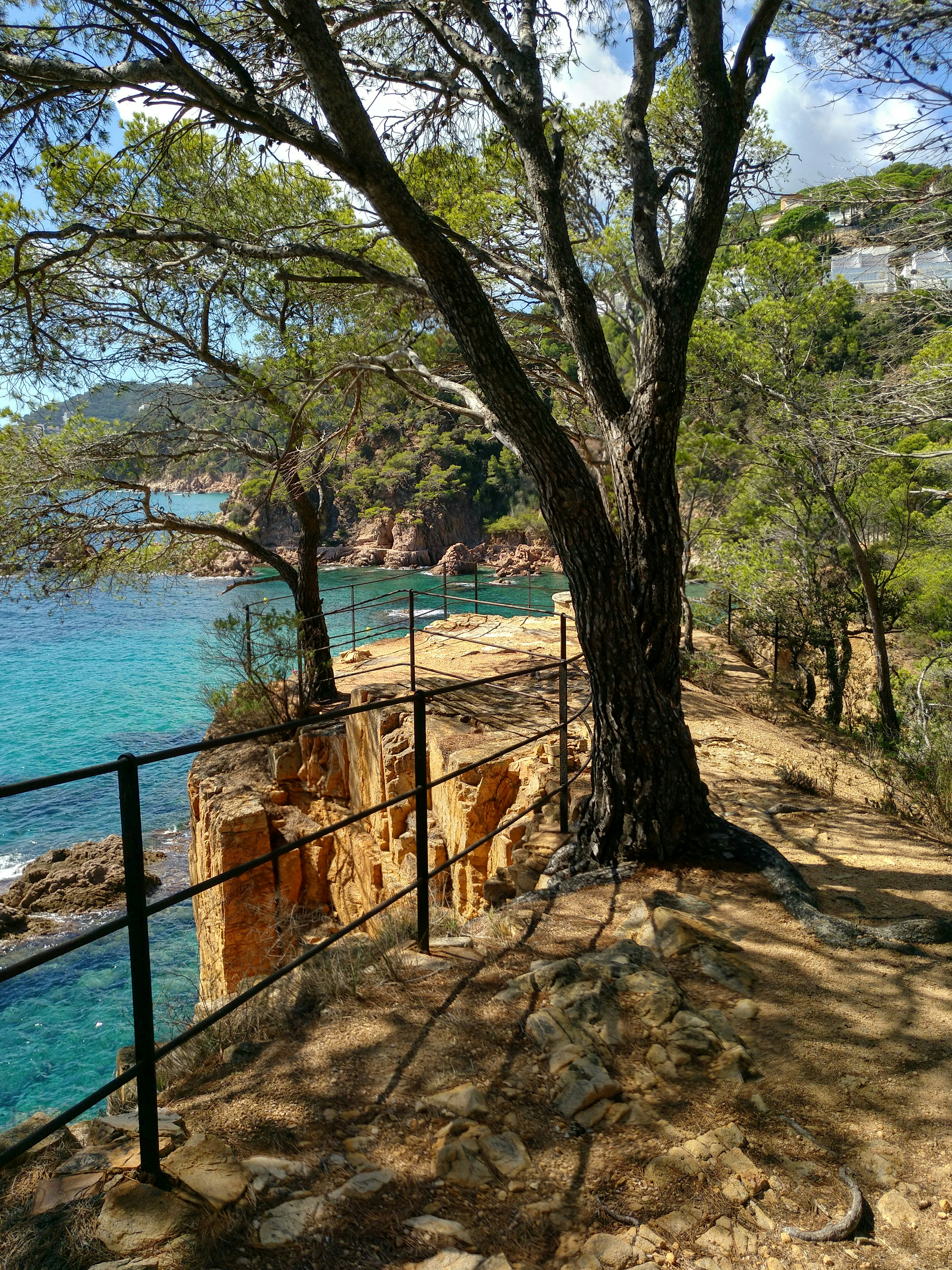 Trailside vista: sunlit path along a rocky railing with a sea-teal backdrop