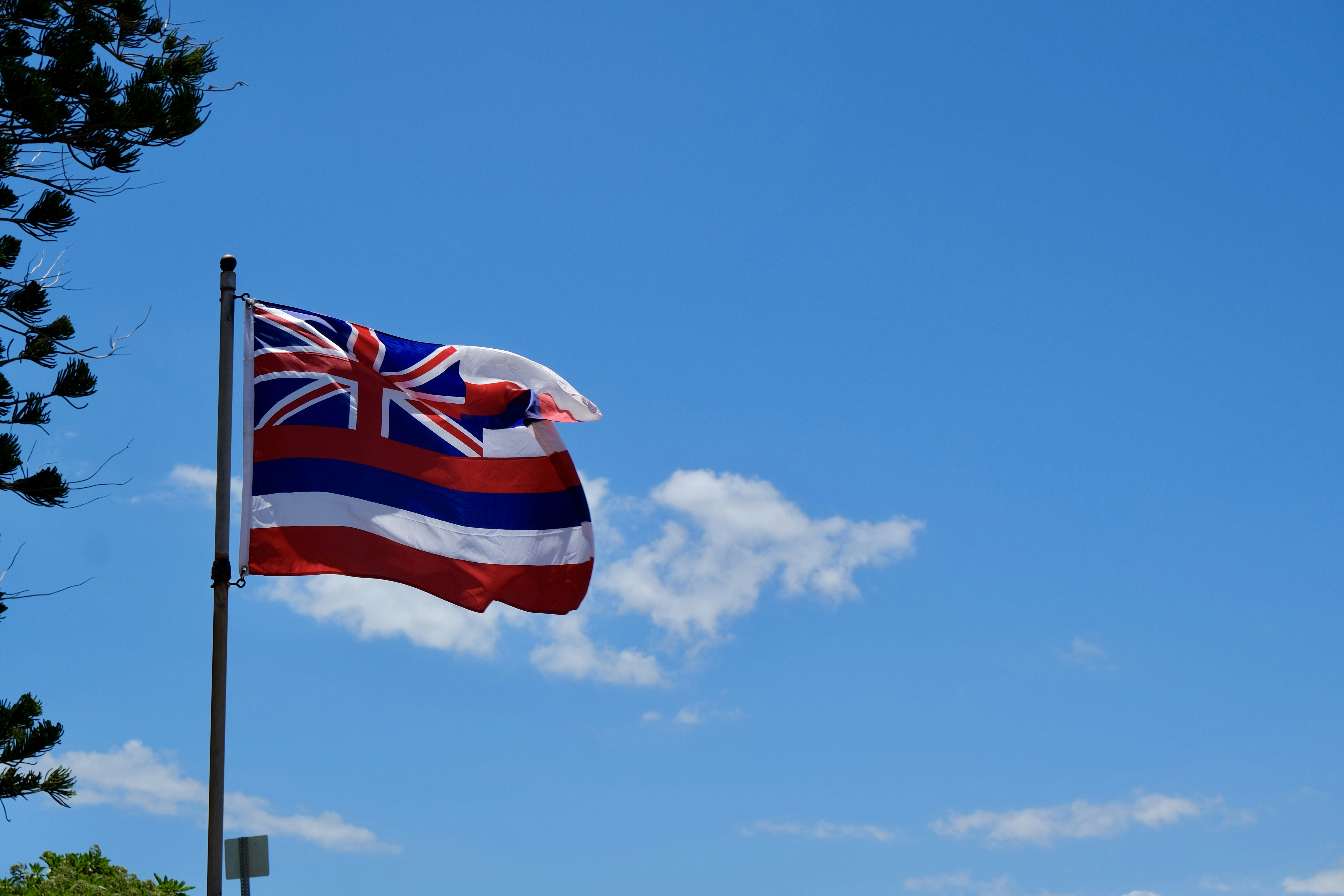 Red, white, and black blue flag photo – Free Blue Image on Unsplash