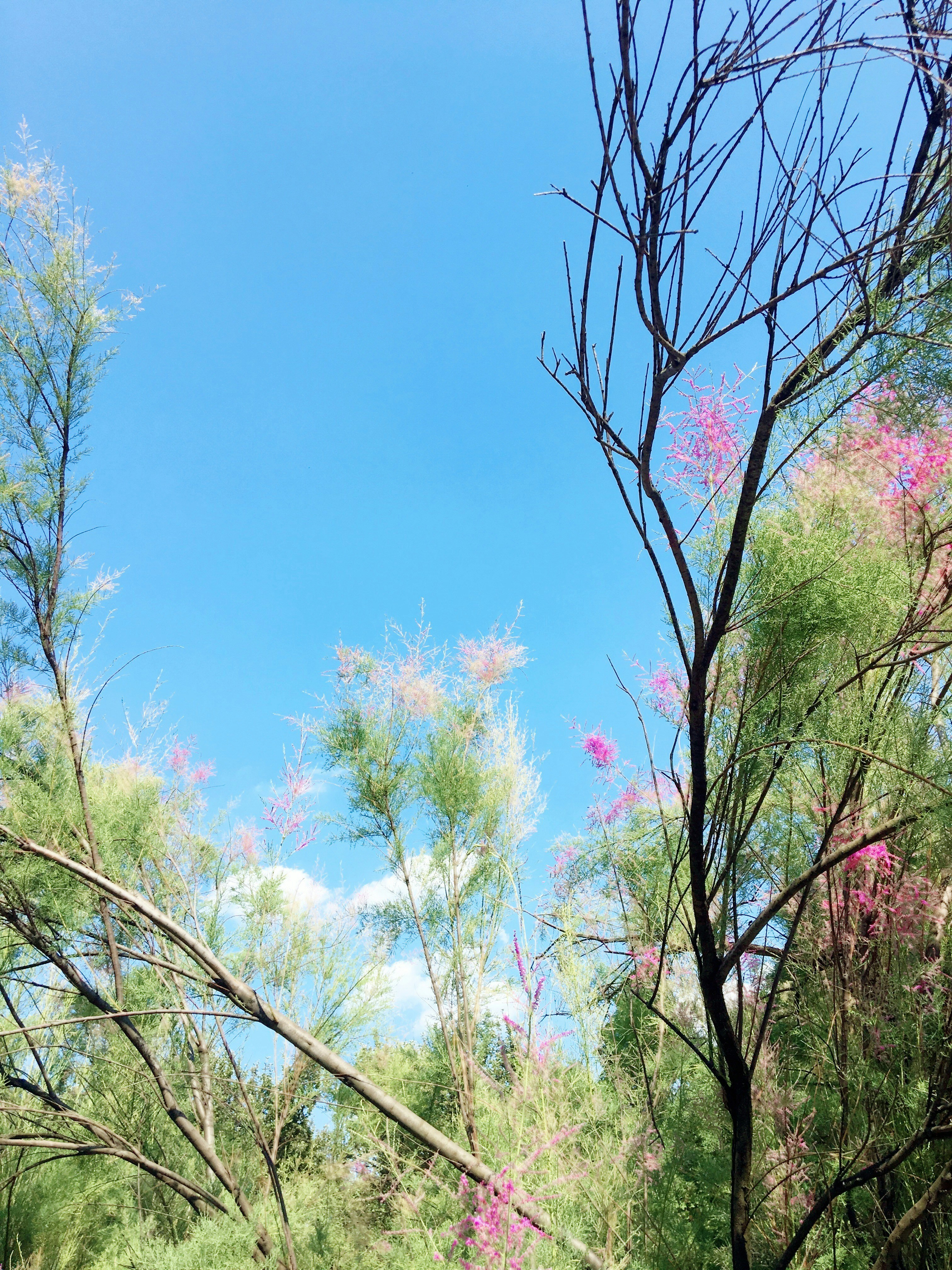 Photo by Olia Bondarenko with Apple iPhone 6s