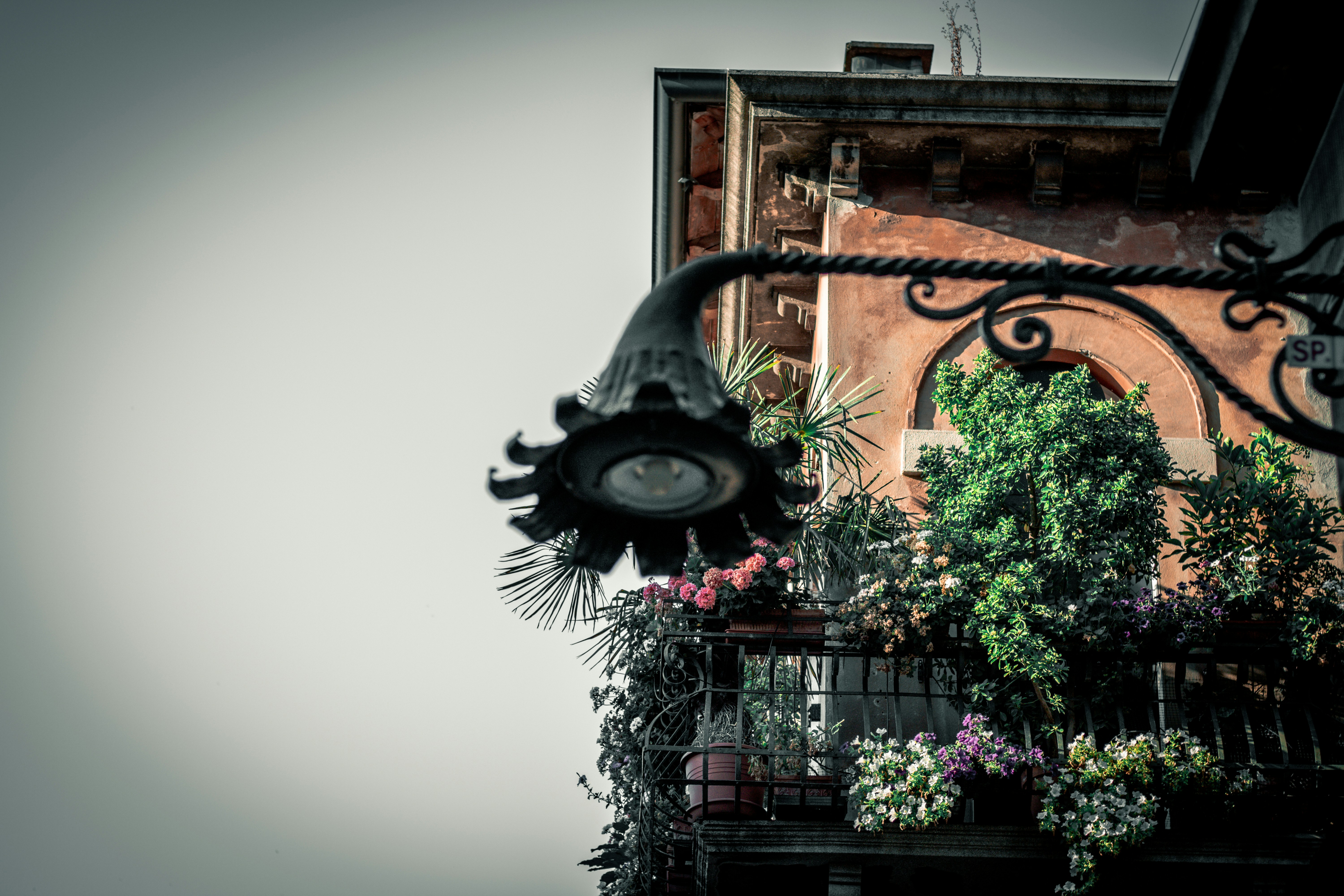 Charming Balcony Blooms Under Rustic LampLudovico Lovisetto