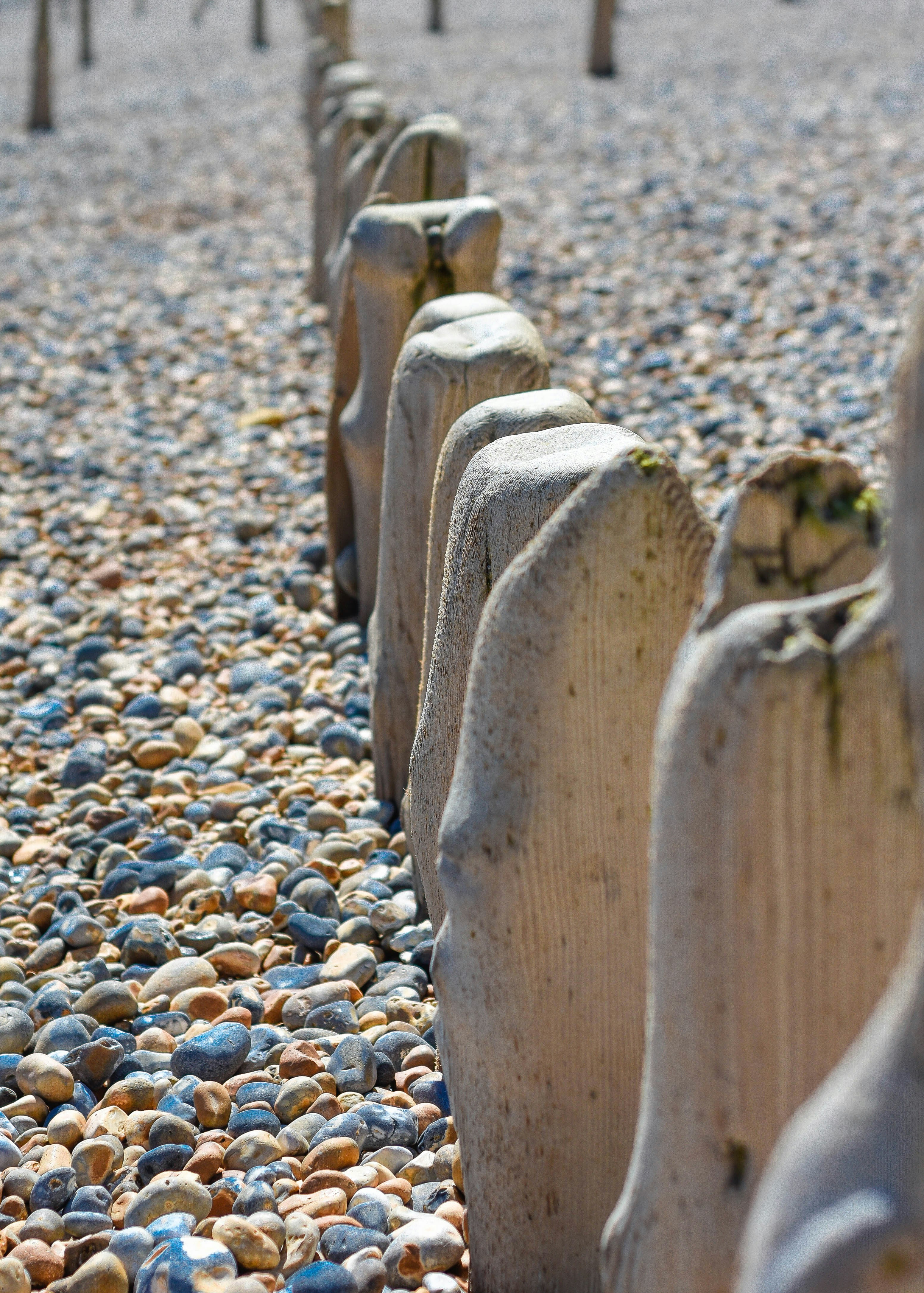 Sentinels of the Shore: Weathered posts march along a pebble coast