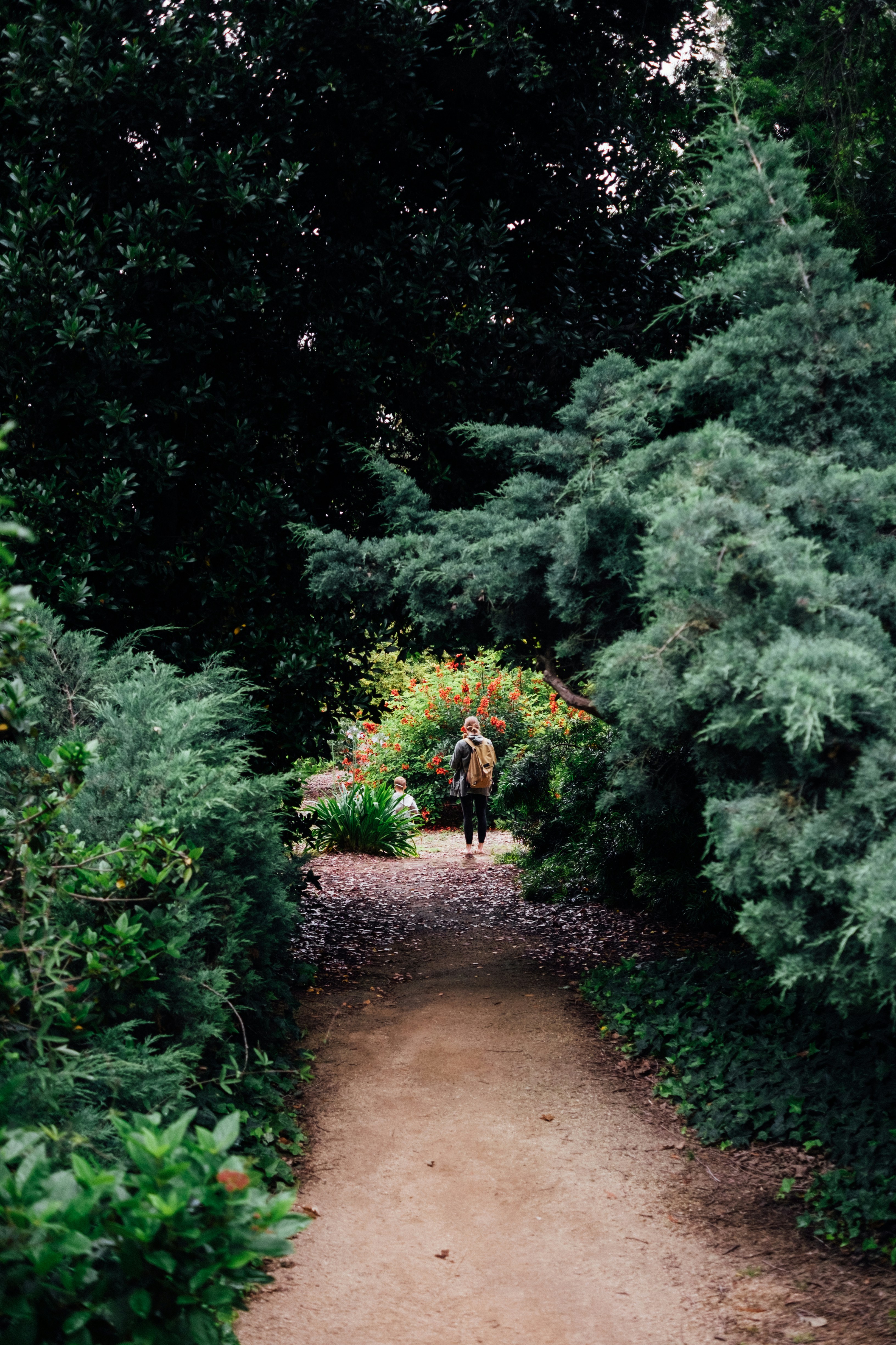 A person walks along a winding path surrounded by dense foliage and vibrant flowers, leading into a tranquil garden scene.
