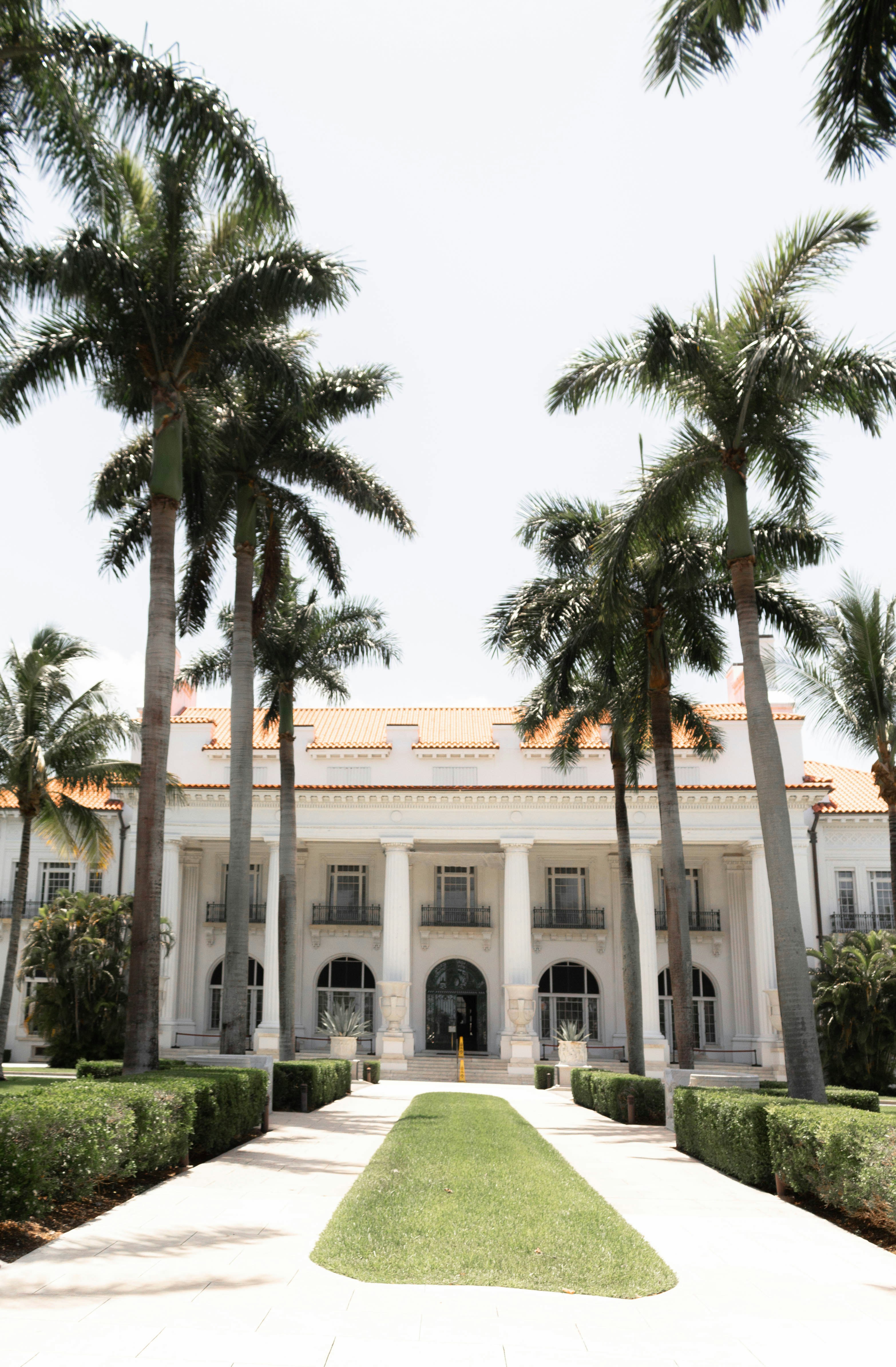 Green palm tree and white painted building photo – Free Flagler museum ...