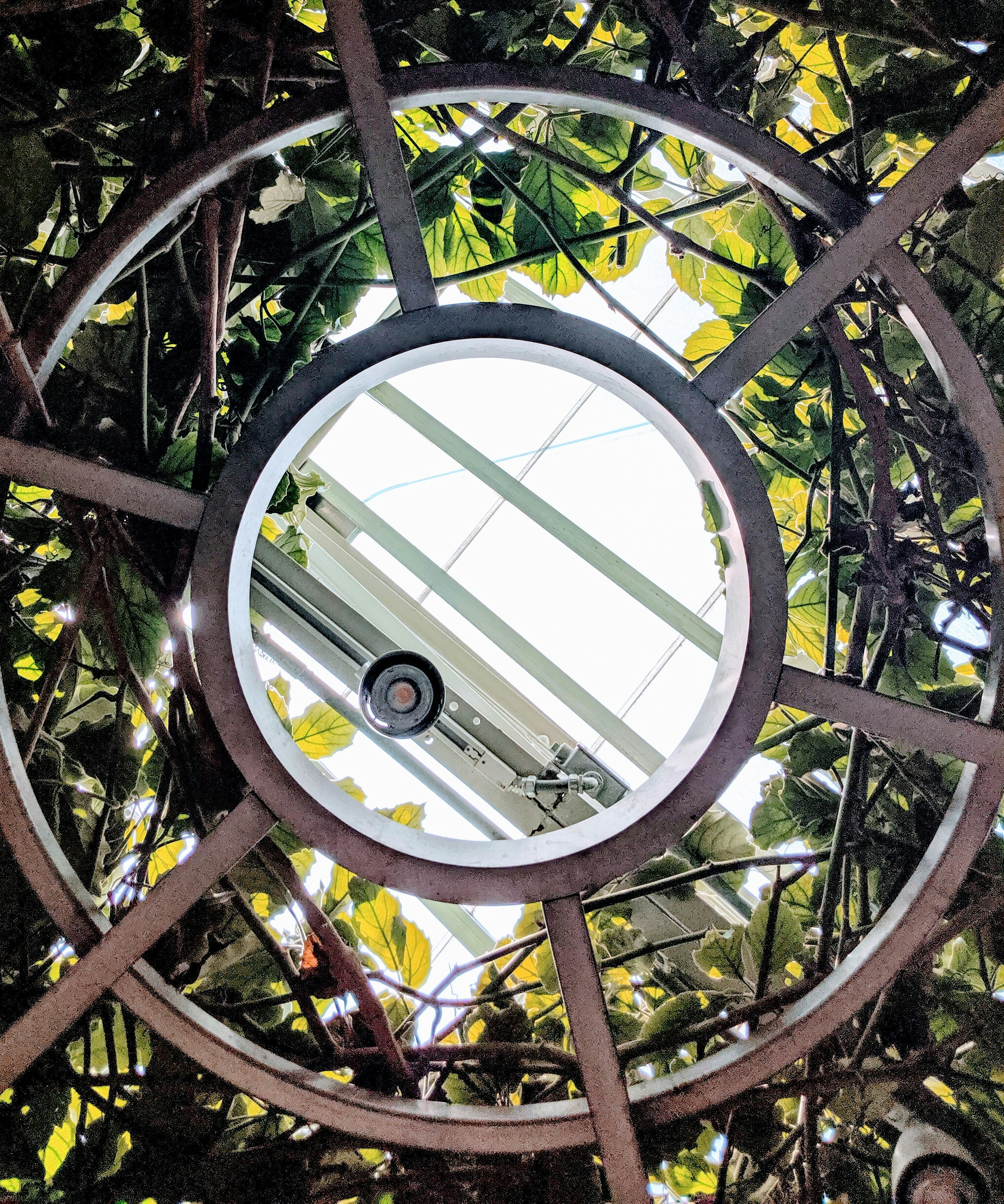 Grey metal frame photo – Free Machine Image on Unsplash