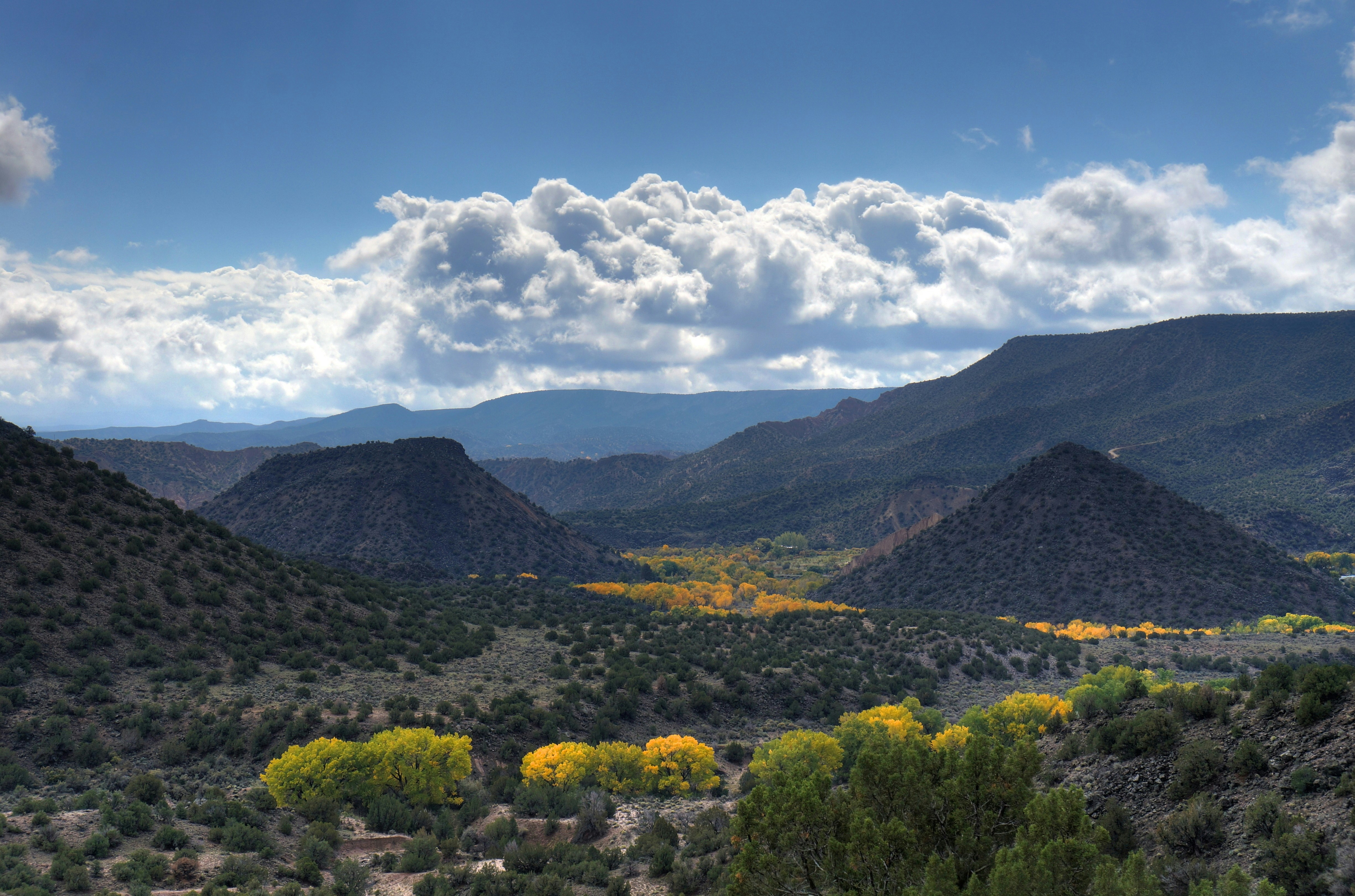 Vibrant yellow trees contrast against rugged mountains and a dramatic sky, showcasing the beauty of a desert landscape in autumn.