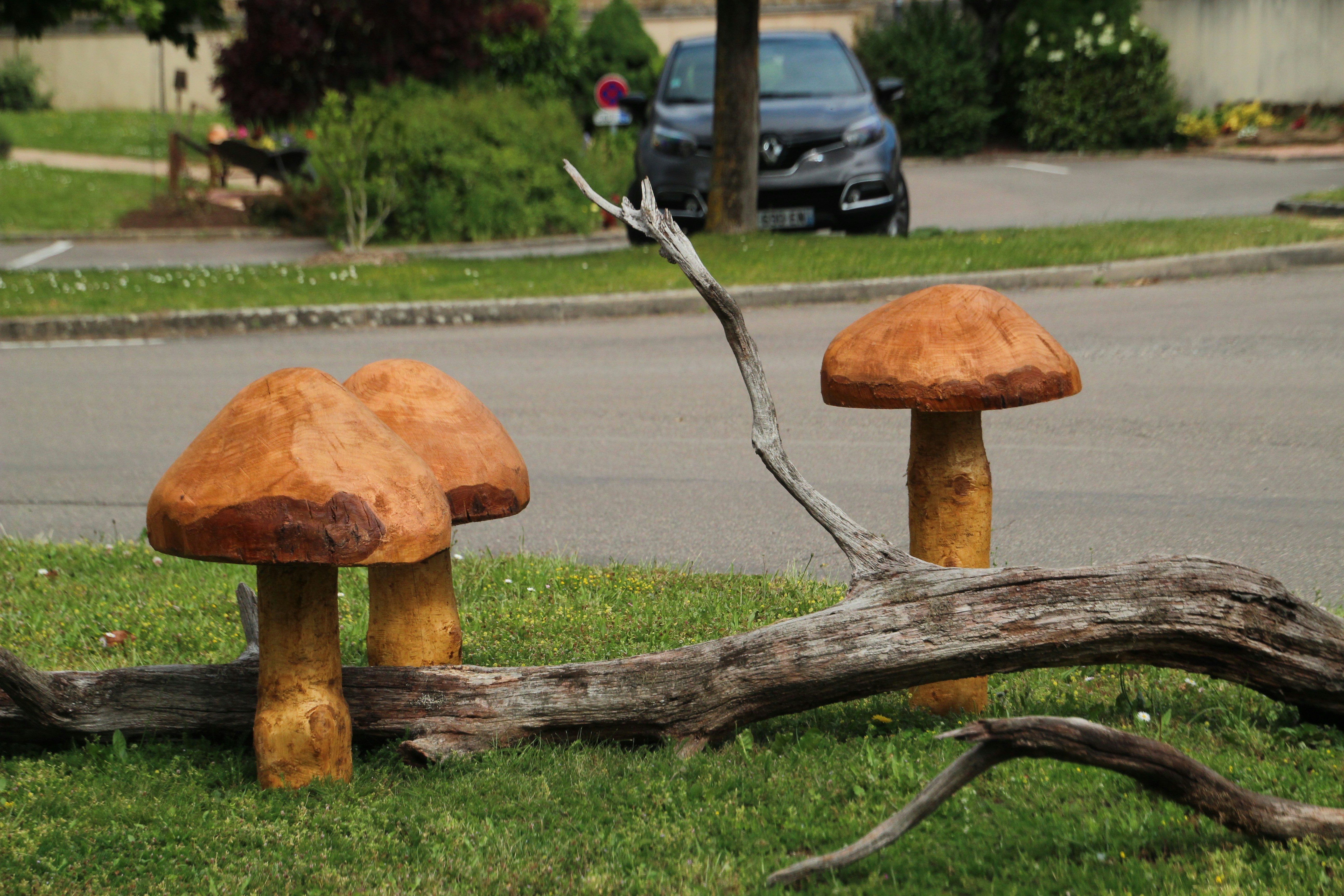 Wooden mushroom sculptures nestled beside a weathered log in a grassy area. The scene captures the playful blend of nature and artistry.
