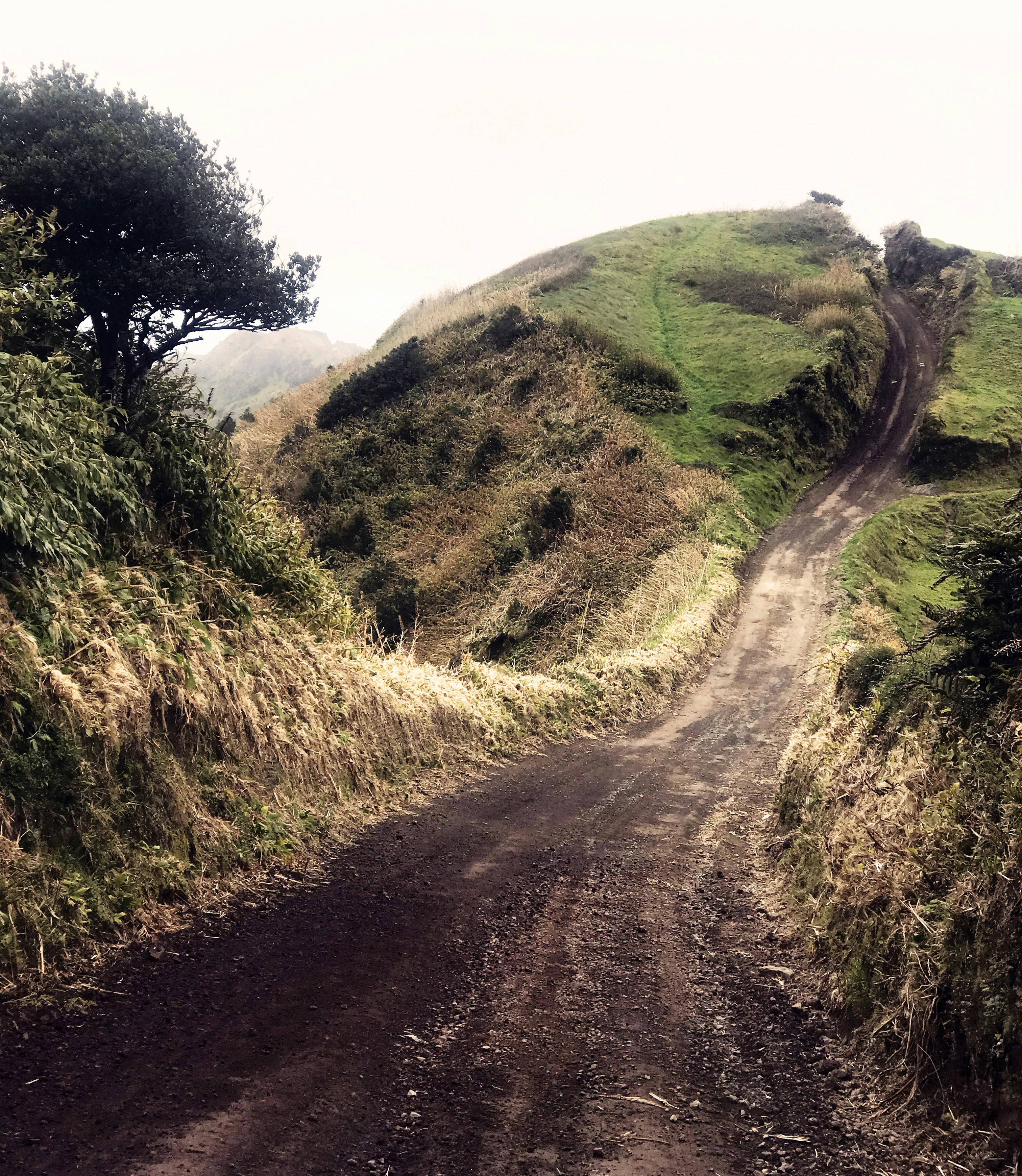 Winding Path Through Verdant Hills