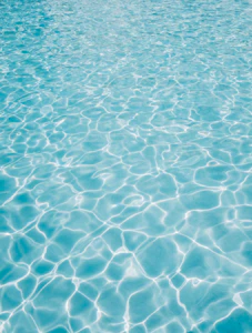 Sunlit Aquatic Symphony