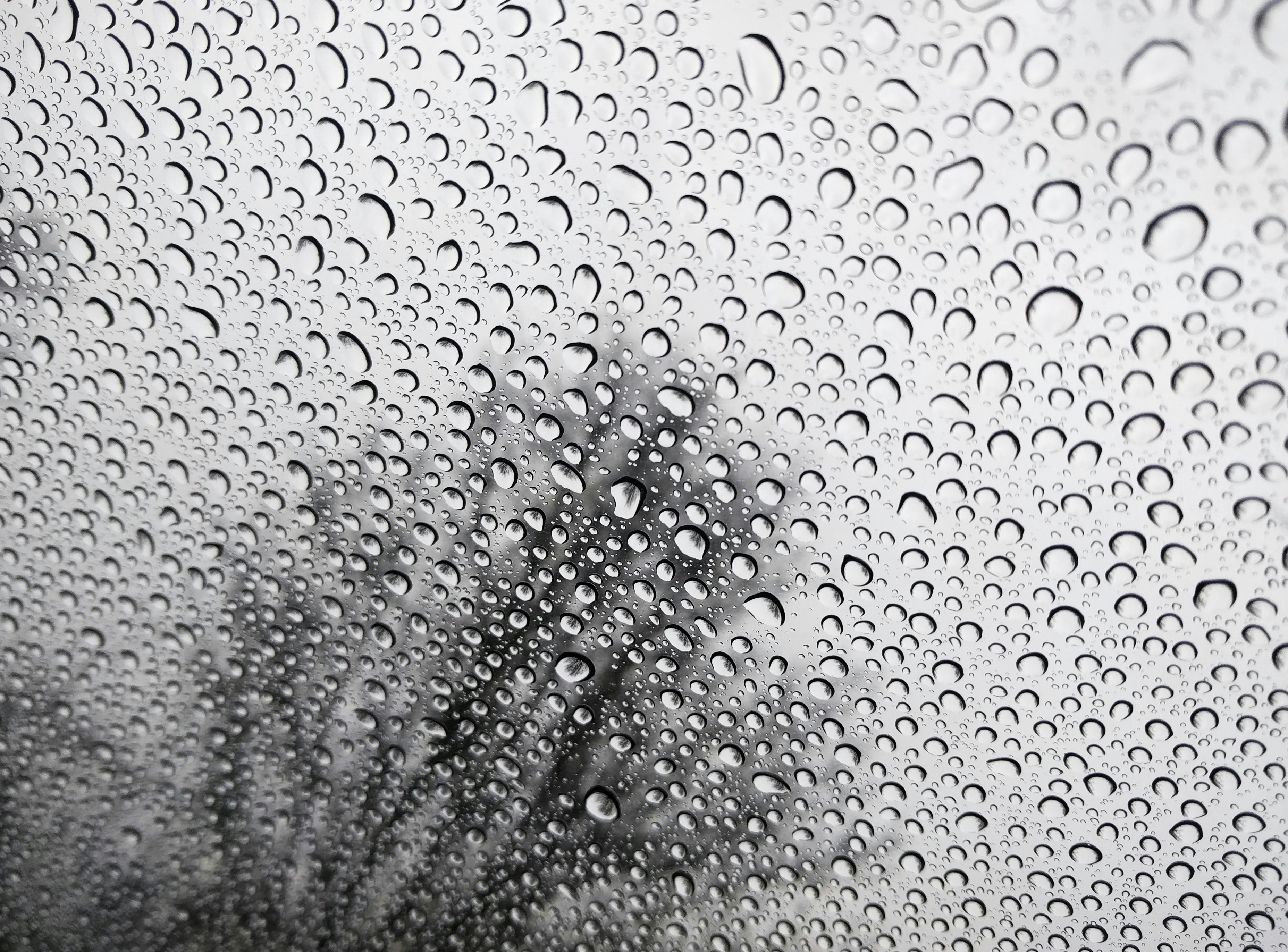 Grayscale water dew photography photo – Free Grey Image on Unsplash