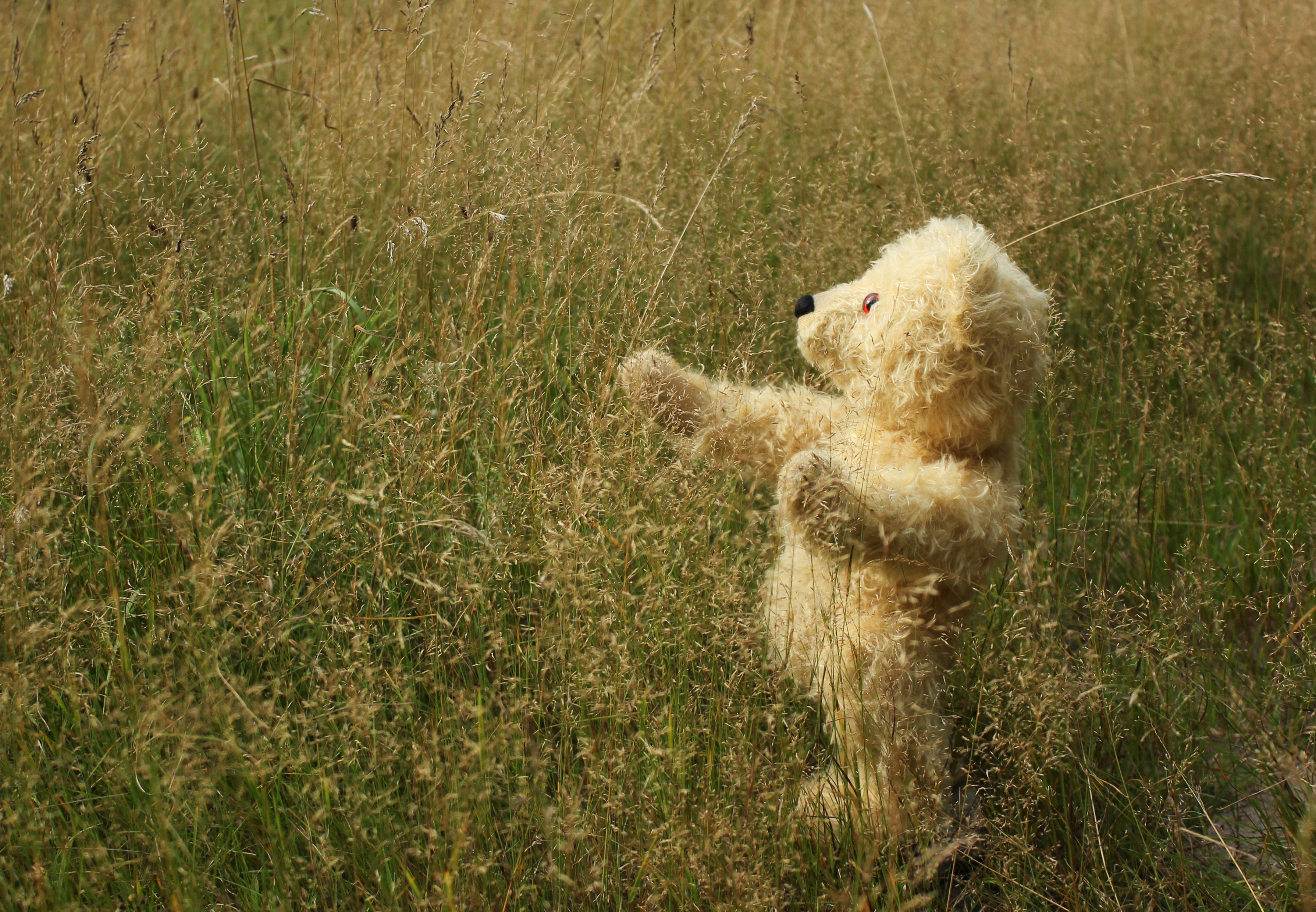 And so it begins... - by Brenna Colleen - Brenna’s Substack