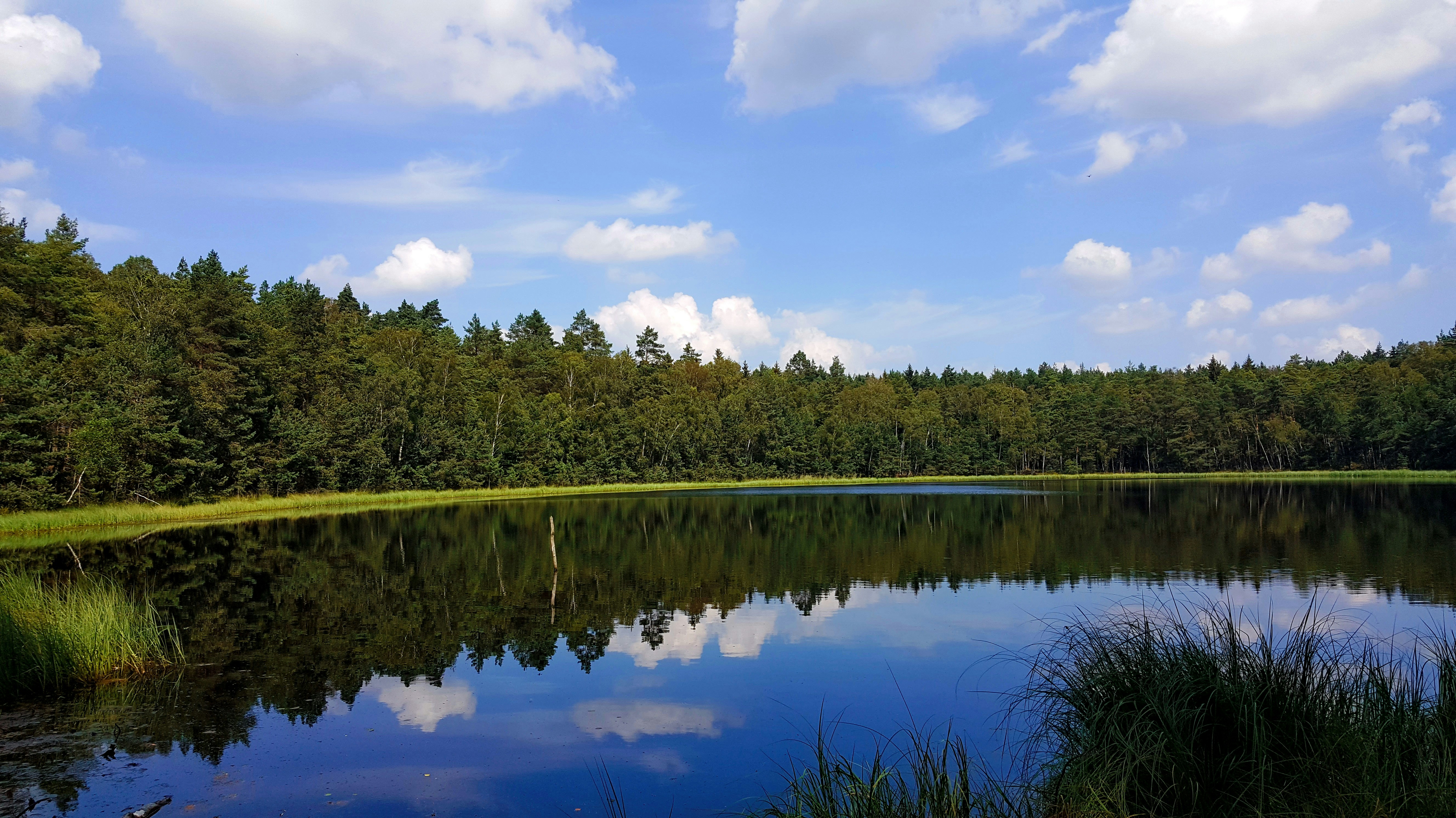 Calm lake reflecting a lush forest under a blue sky with scattered clouds. The scene evokes a sense of peace and natural beauty.