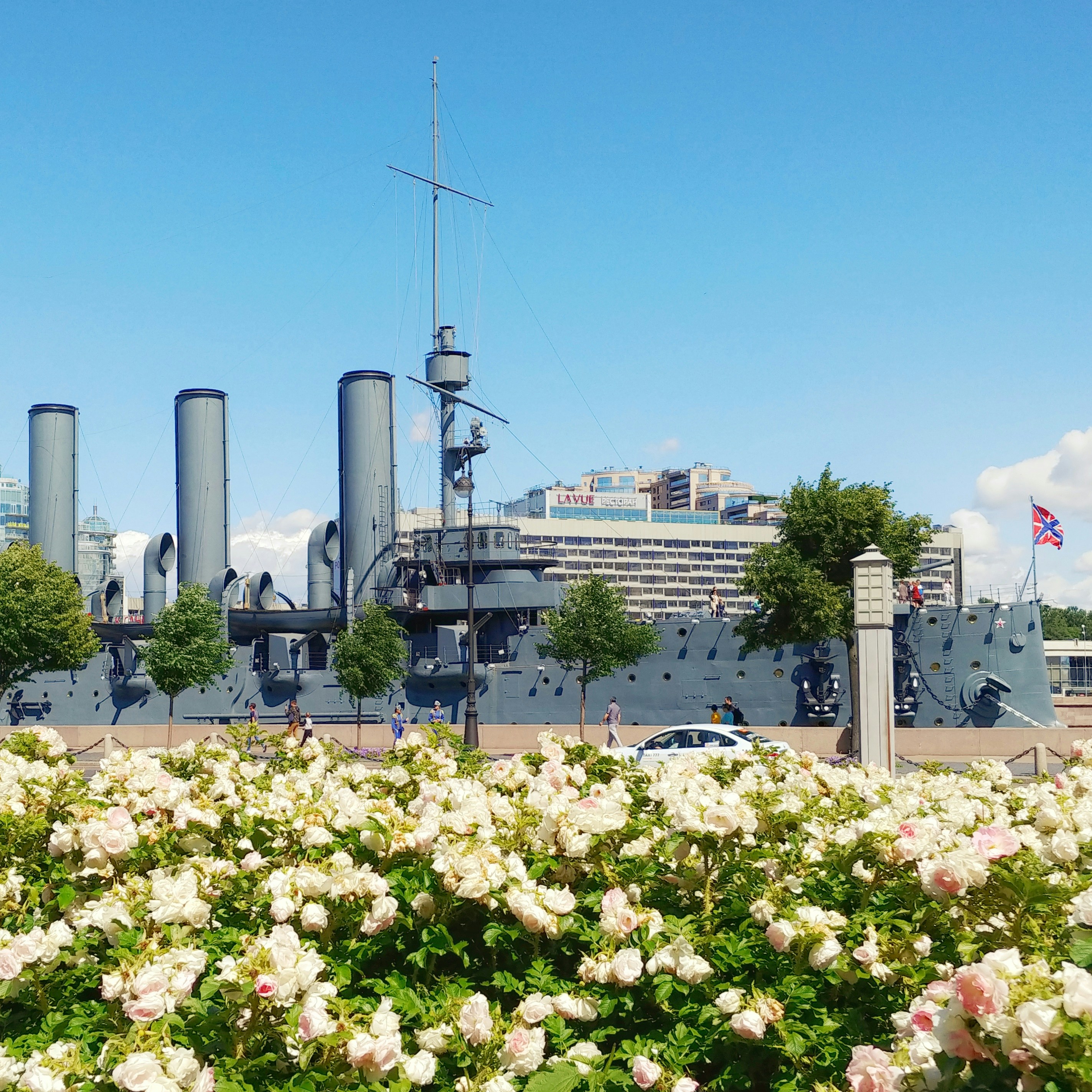 White flowers in bloom photo – Free 194044 Image on Unsplash