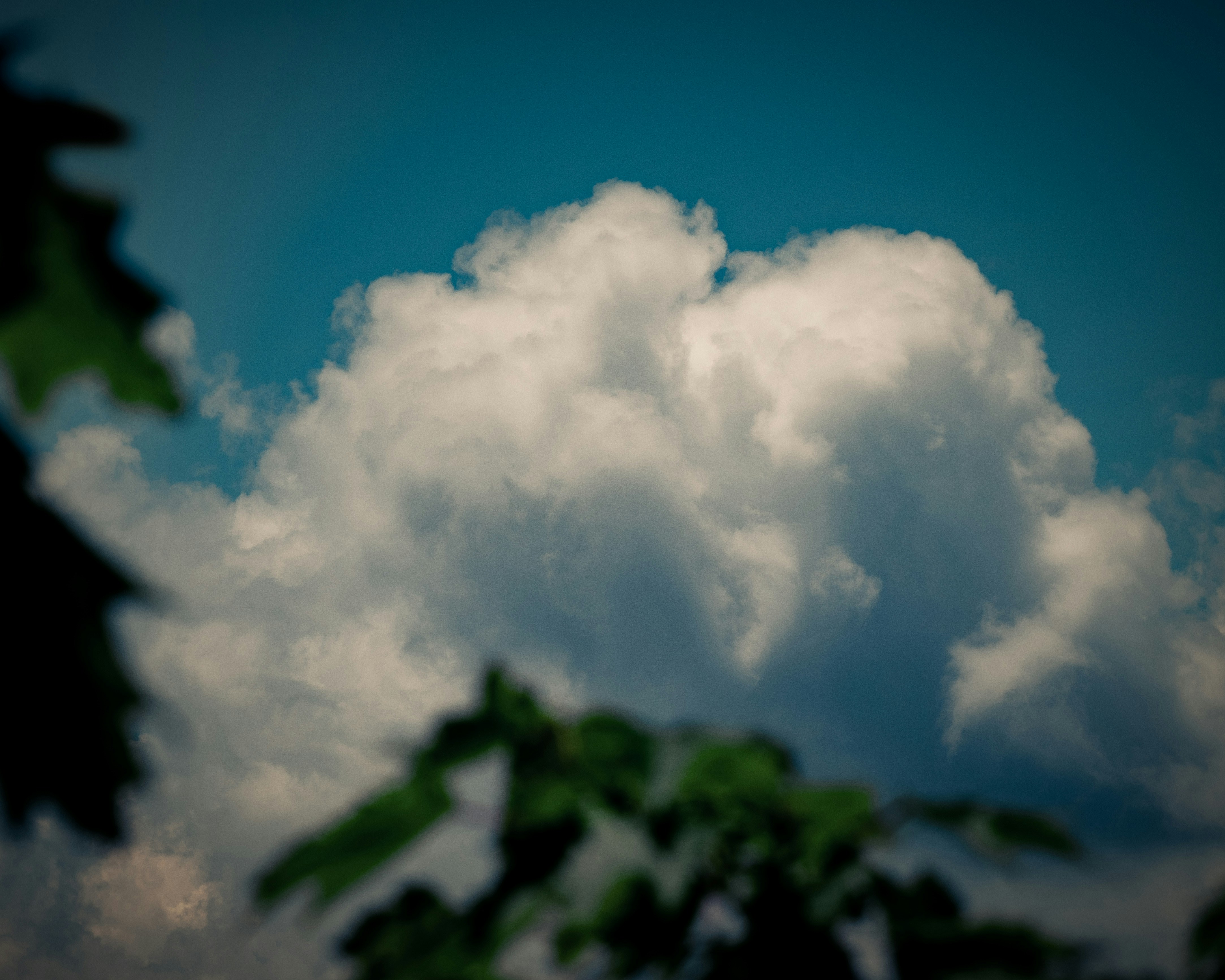 Fluffy white clouds drift against a vibrant blue sky, framed by lush green foliage. The scene captures the serene beauty of nature's canvas.