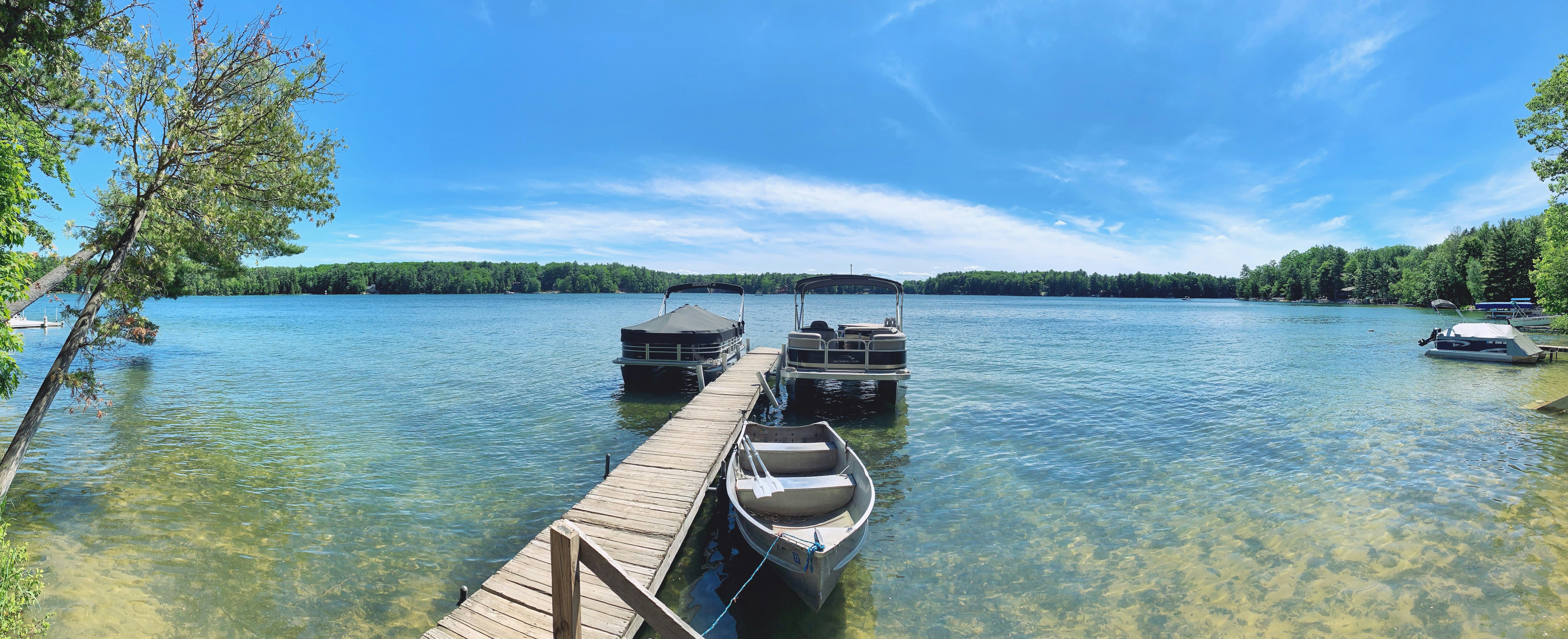 White and gray canoe beside gray wooden dock surrounded by body of ...