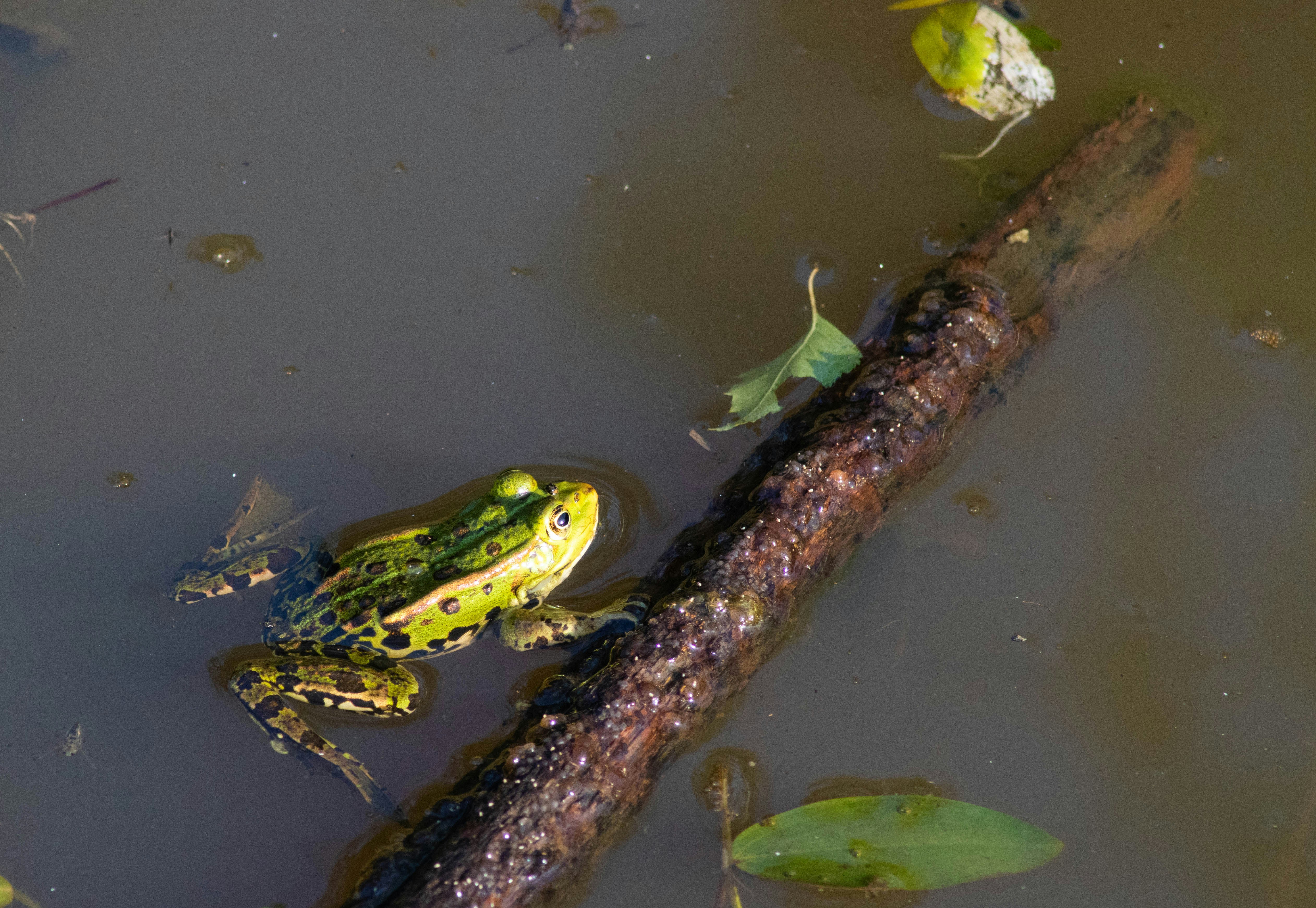 Jules Windey (@juleswindey) | Communauté photos Unsplash