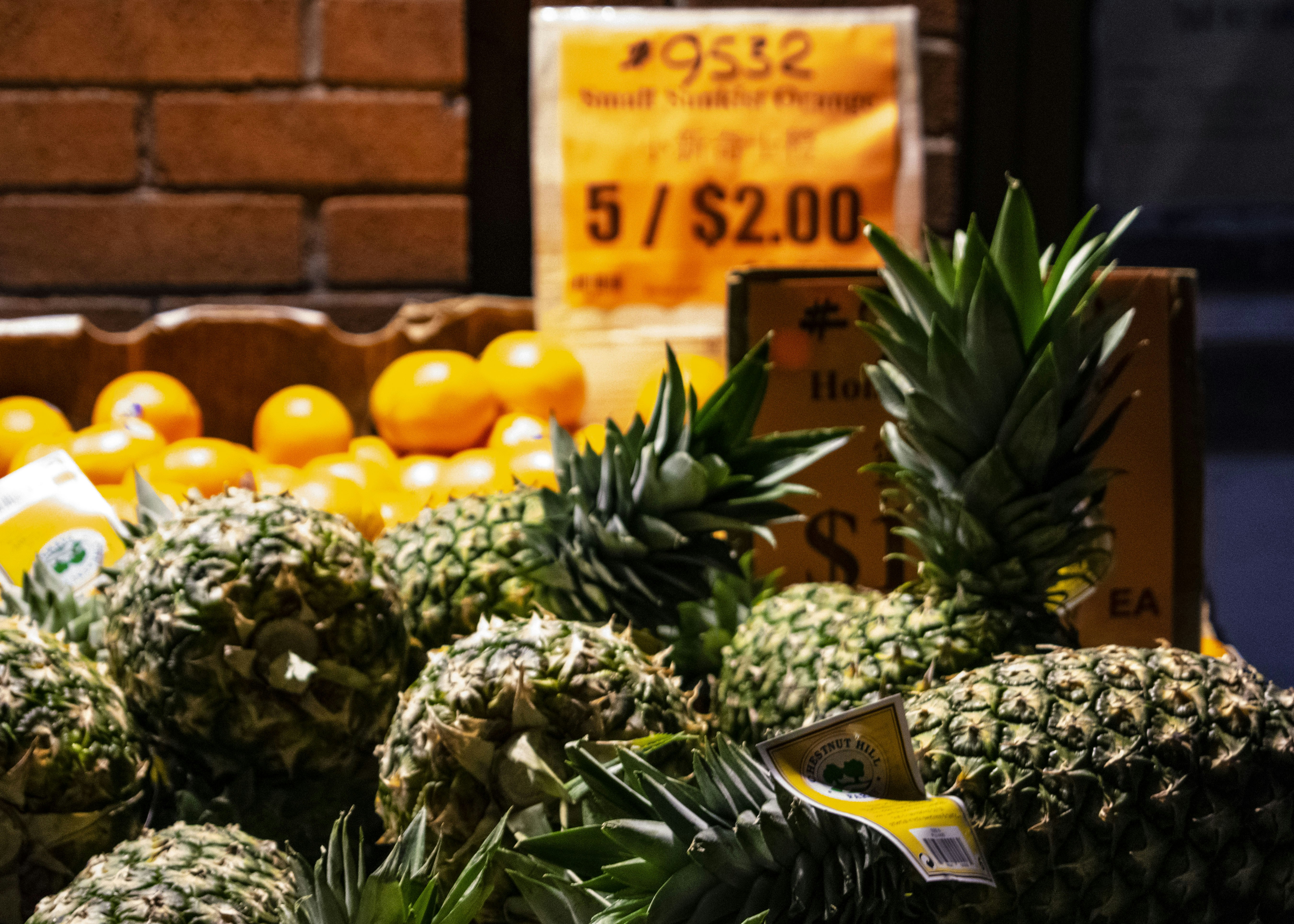 Foto Piñas – Imagen Piña gratis en Unsplash