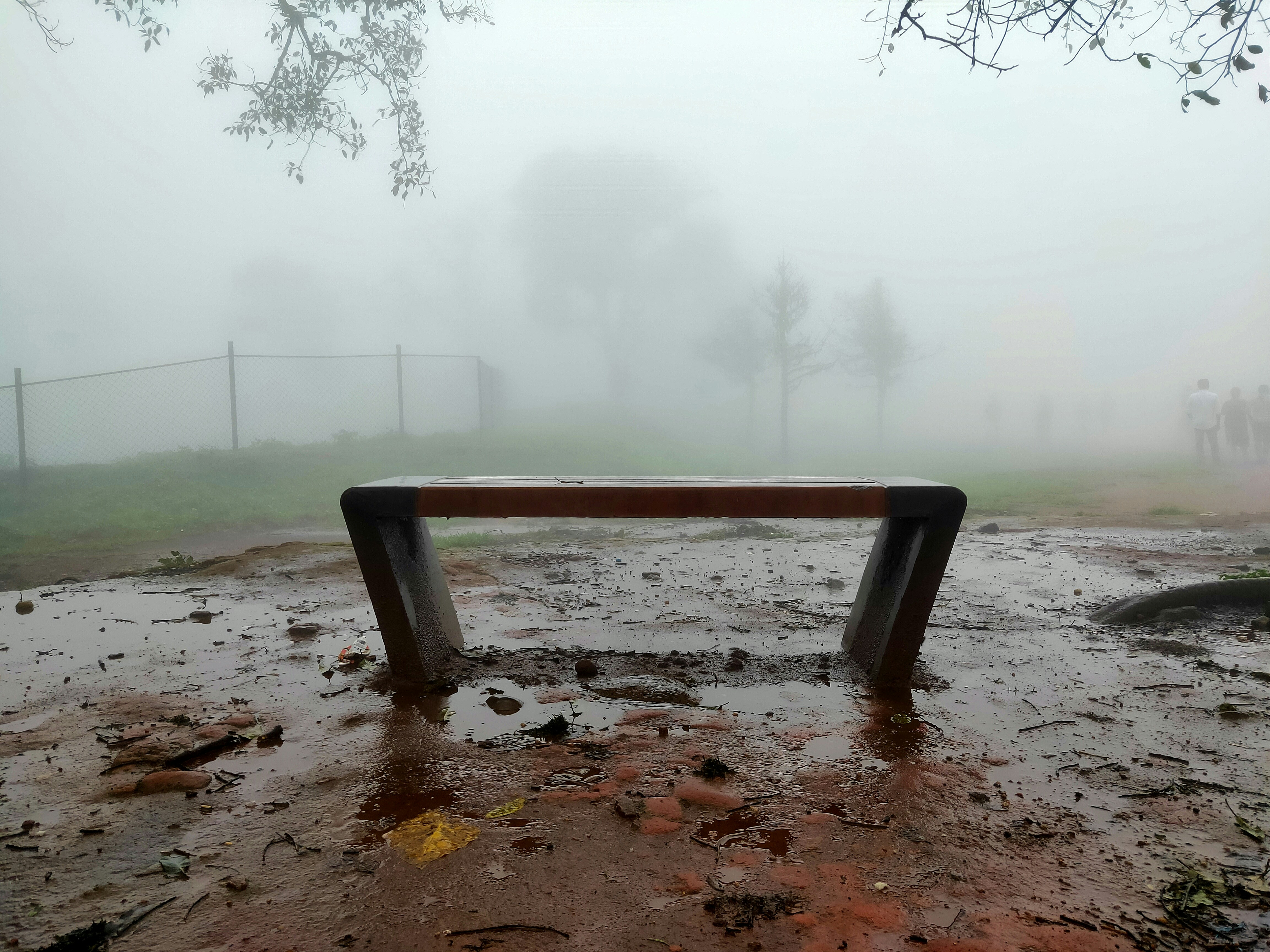 Fog-clad bench sits on a muddy field as mist blankets the scene. Distant trees and a fence fade into the gray haze.