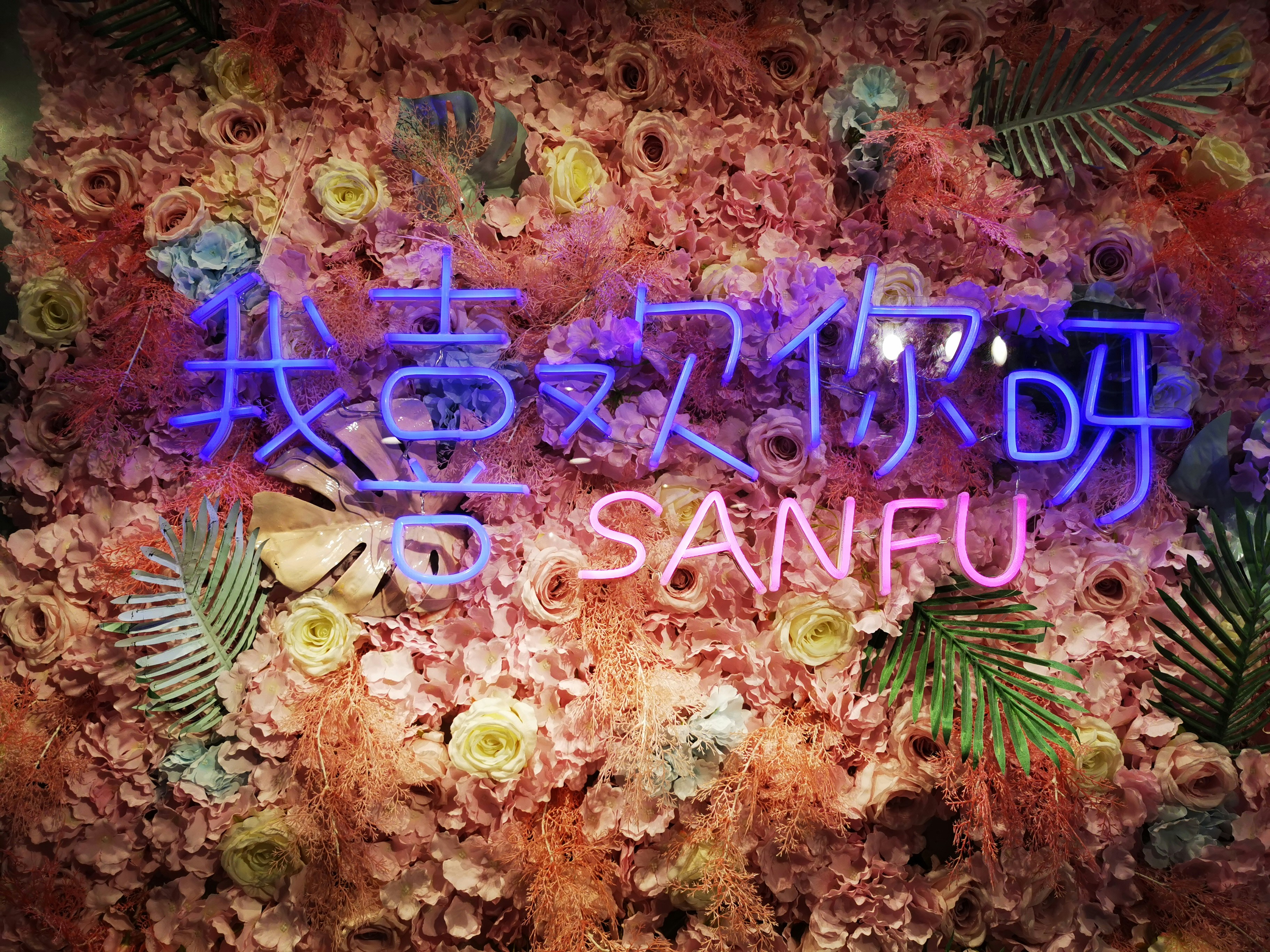 Neon Chinese characters and 'SANFU' glow against a vibrant floral backdrop.