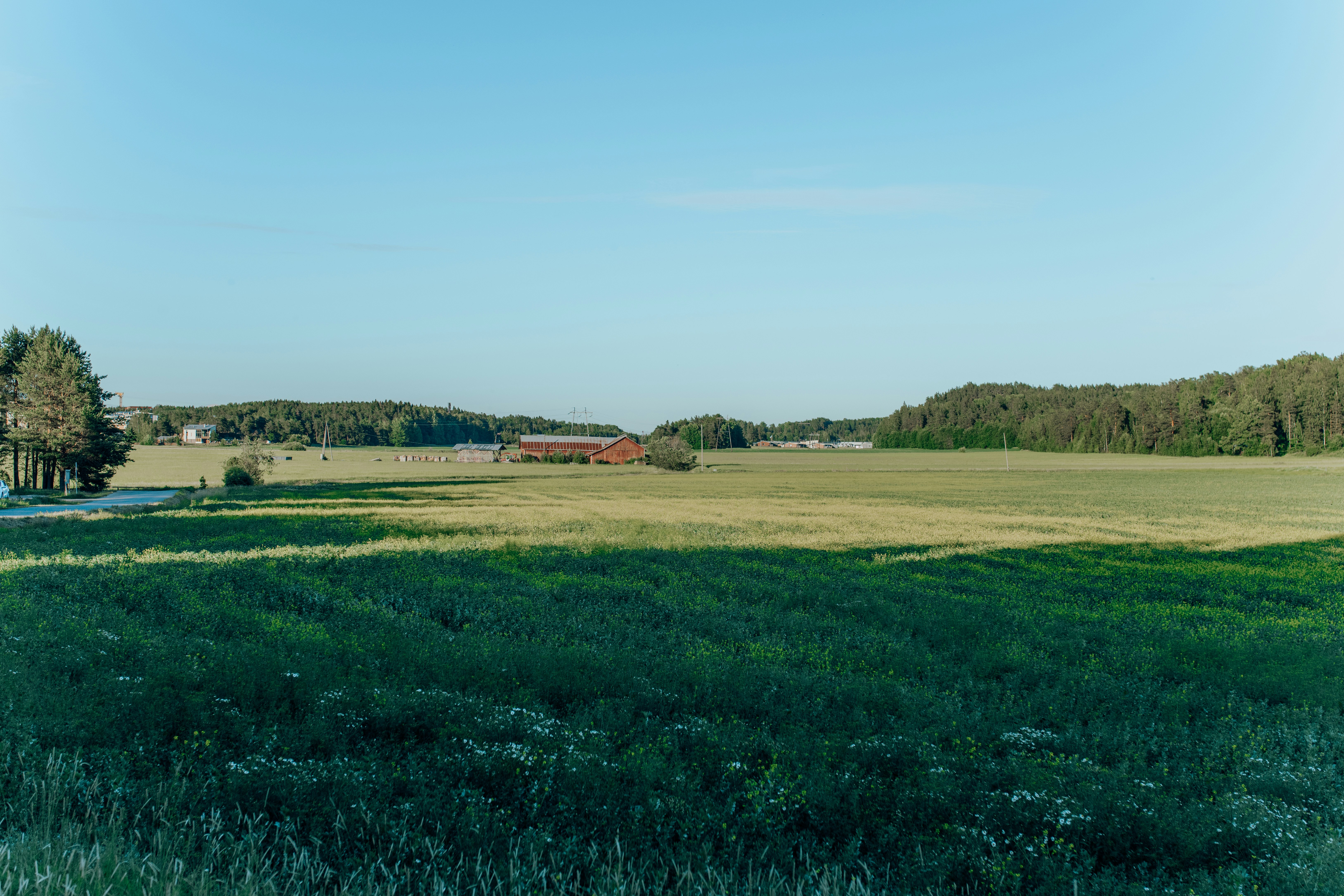 Lush green fields stretch across the landscape, dotted with distant barns and framed by a serene forest backdrop. The clear blue sky enhances the tranquil rural scene.